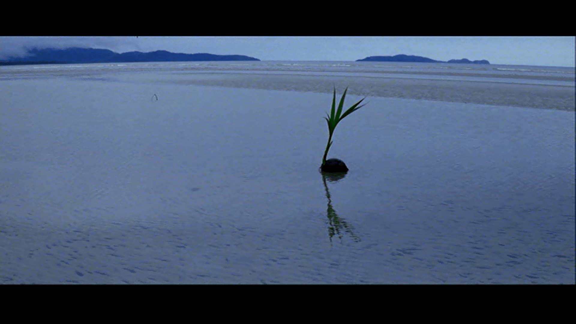 Terrence Malick Wallpapers - Top Free Terrence Malick Backgrounds ...