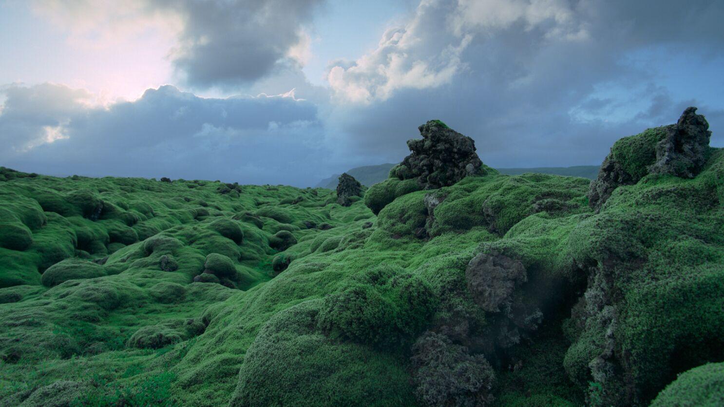 Terrence Malick Wallpapers - Top Free Terrence Malick Backgrounds ...