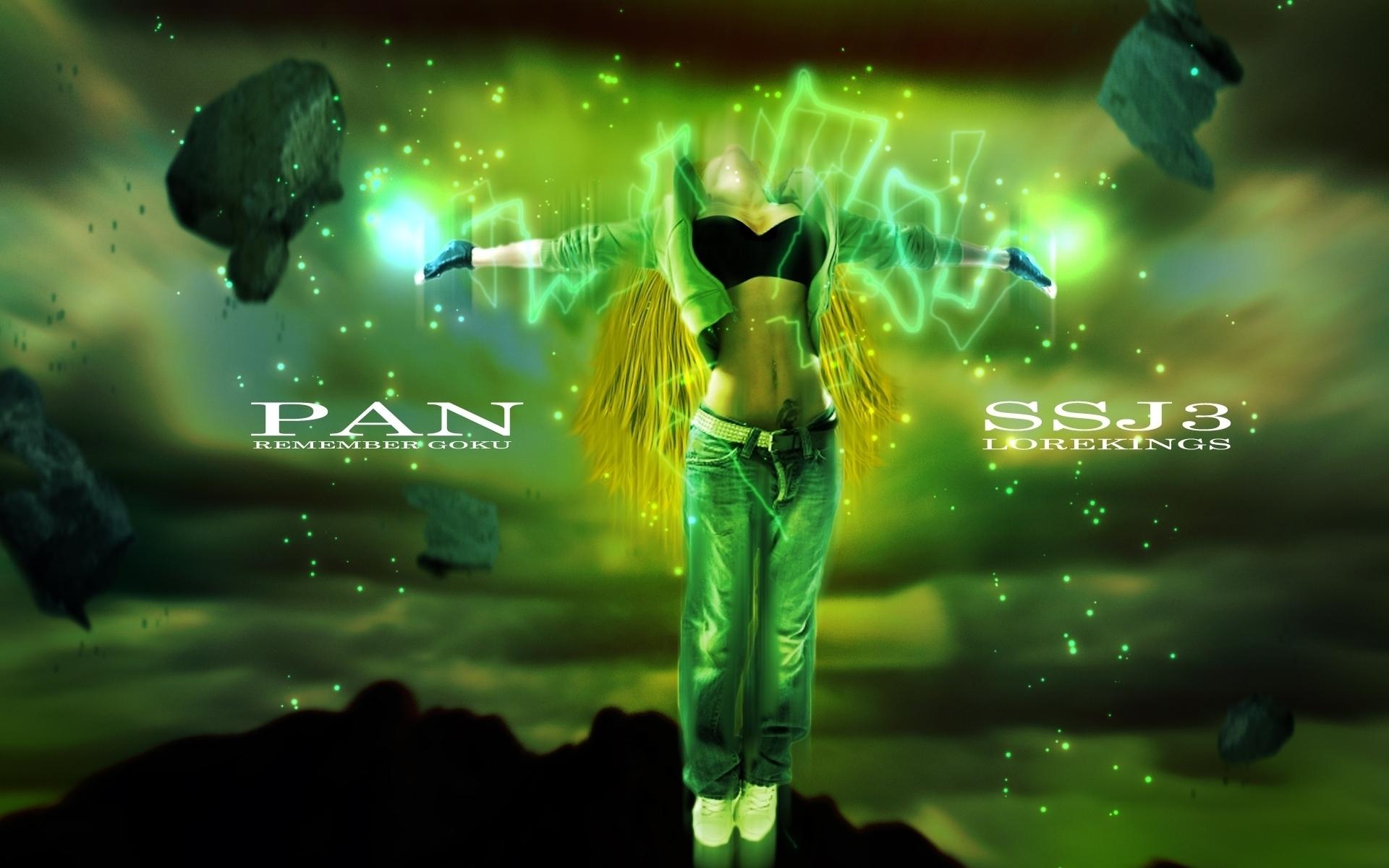 Pan Dragon Ball Wallpapers - Top Free Pan Dragon Ball Backgrounds ...