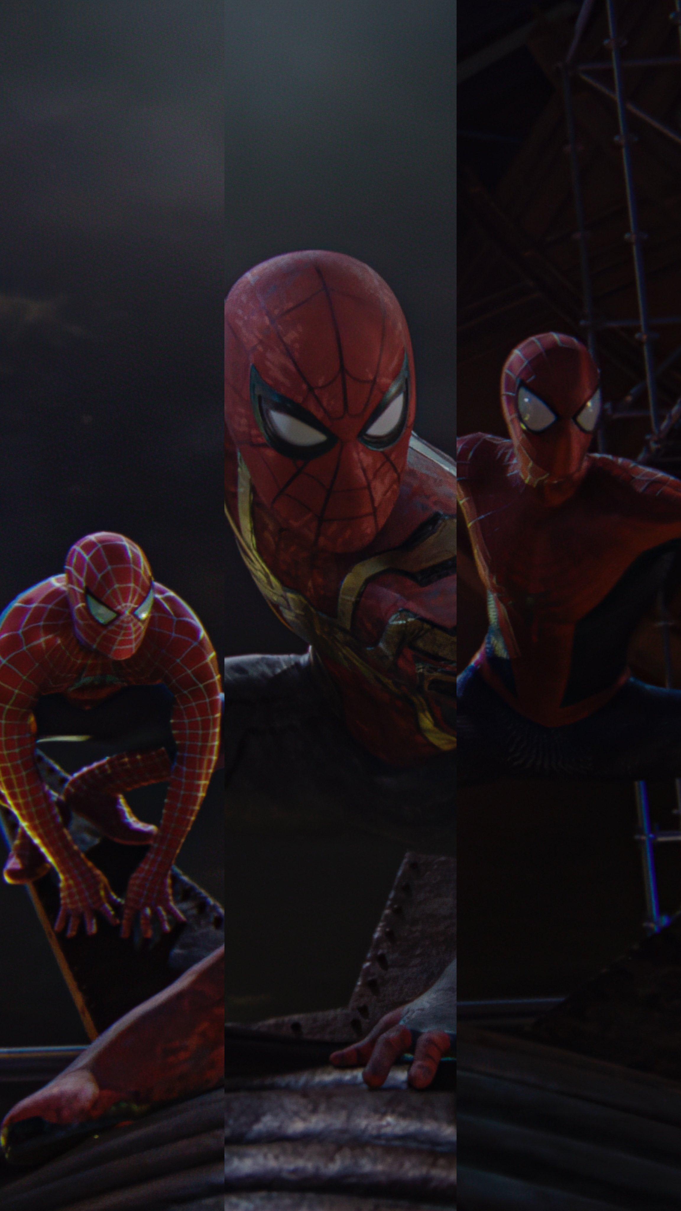 Three Spider Man Wallpapers - Top Free Three Spider Man Backgrounds ...