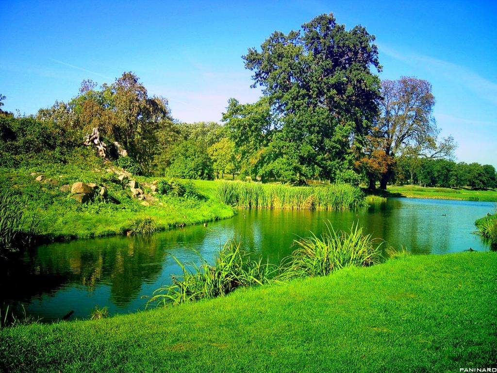 Green Place Wallpapers - Top Free Green Place Backgrounds - WallpaperAccess