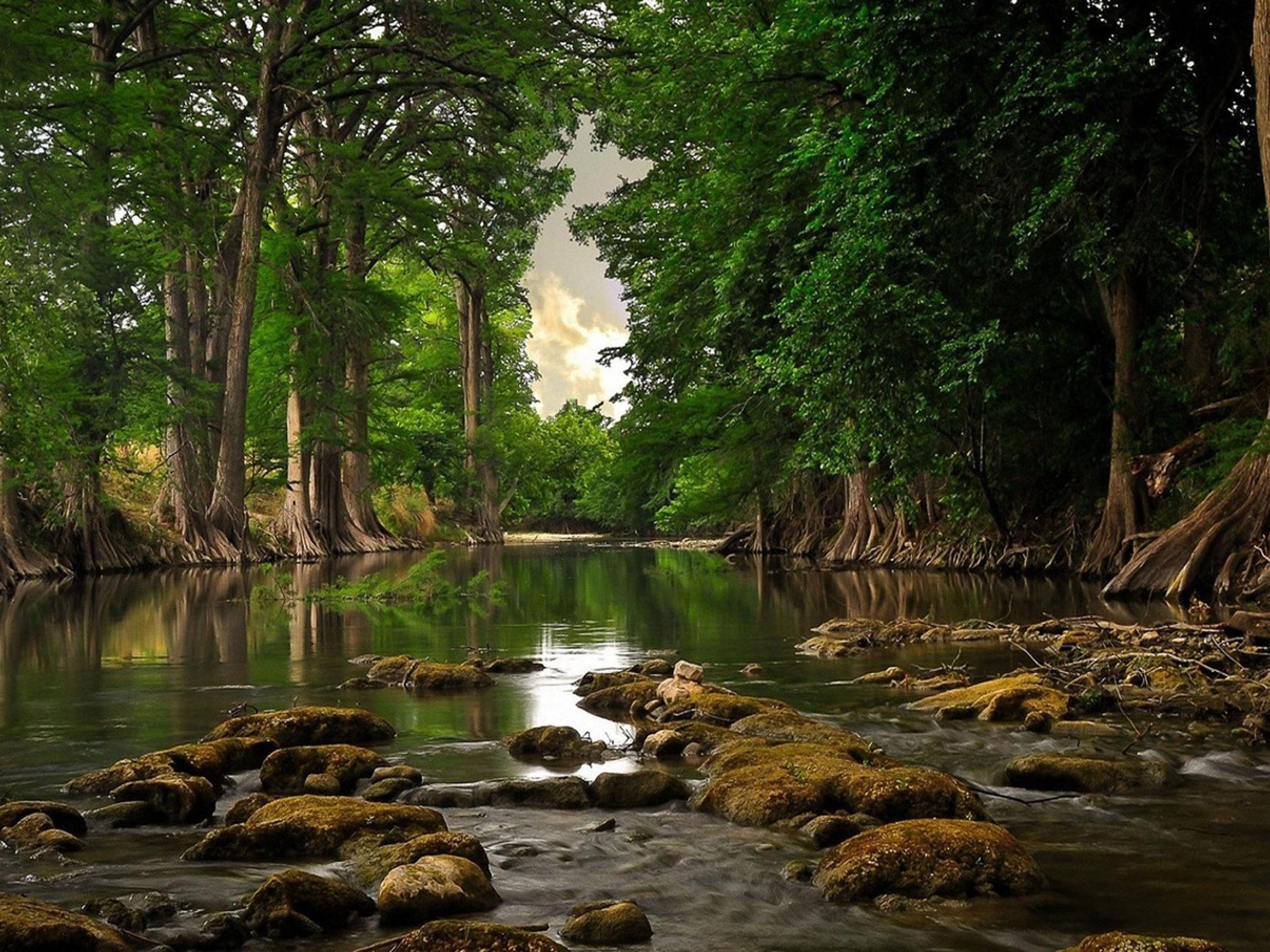 Green Place Wallpapers - Top Free Green Place Backgrounds - WallpaperAccess