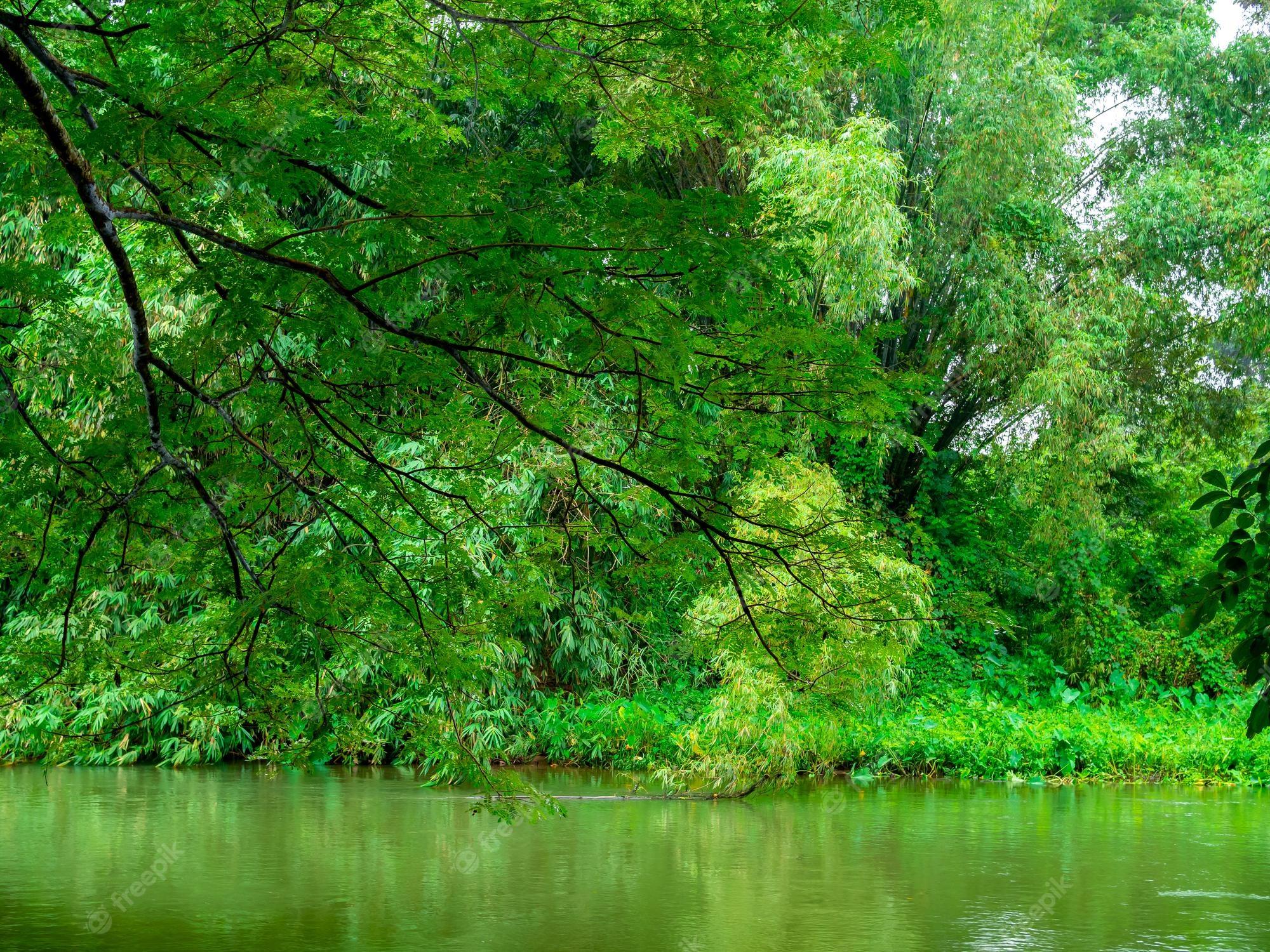 Green Place Wallpapers - Top Free Green Place Backgrounds - WallpaperAccess