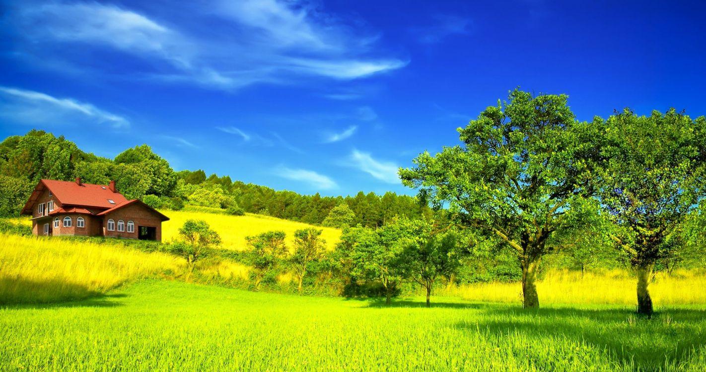 Green Place Wallpapers - Top Free Green Place Backgrounds - WallpaperAccess