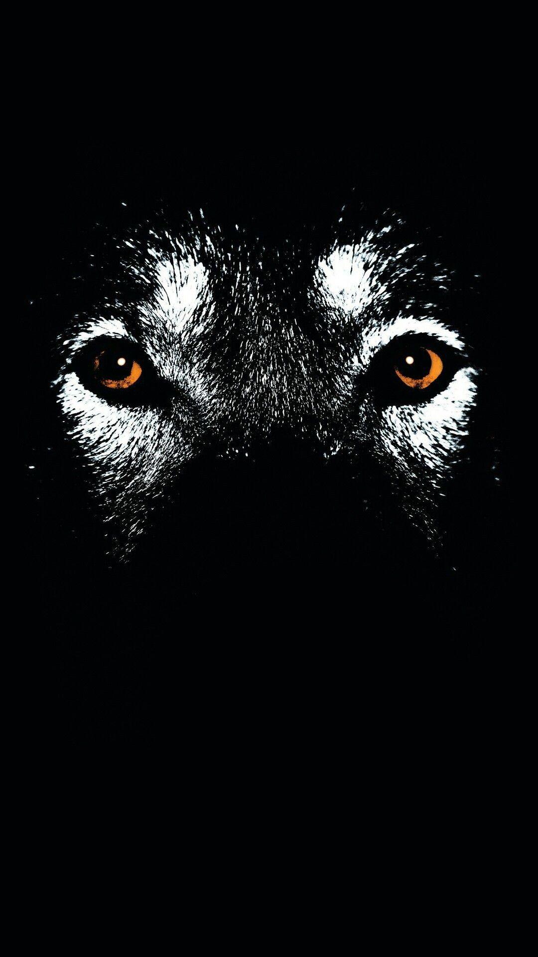 Wolf Amoled Wallpapers - Top Free Wolf Amoled Backgrounds - WallpaperAccess