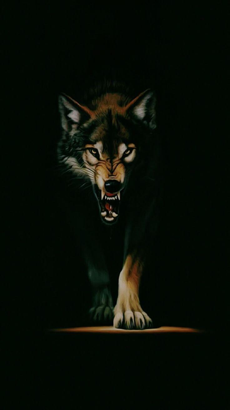 Wolf Amoled Wallpapers - Top Free Wolf Amoled Backgrounds - WallpaperAccess