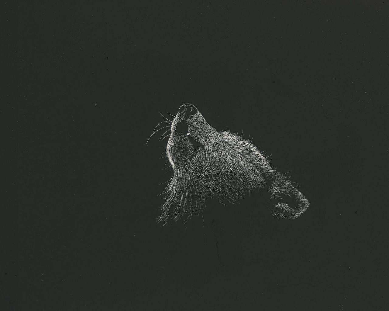Wolf Amoled Wallpapers - Top Free Wolf Amoled Backgrounds - WallpaperAccess