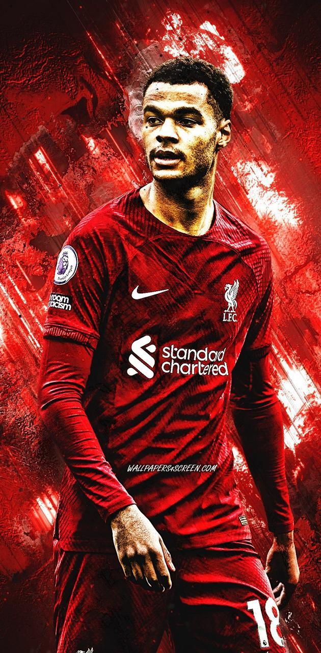 Cody Gakpo Wallpapers - Top Free Cody Gakpo Backgrounds - WallpaperAccess