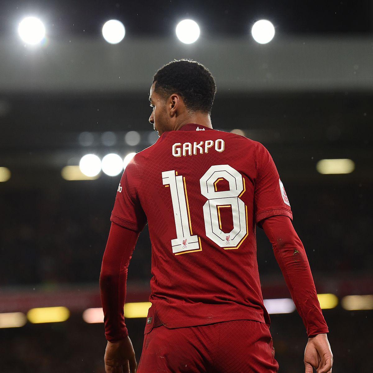 Cody Gakpo Wallpapers - Top Free Cody Gakpo Backgrounds - WallpaperAccess