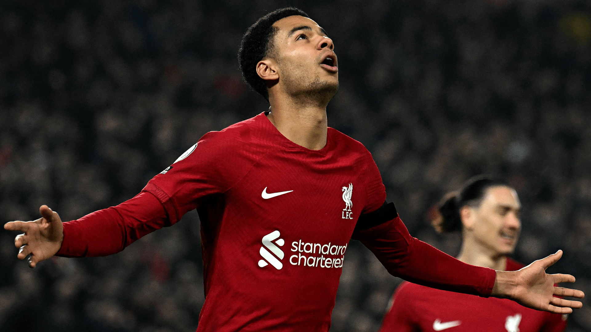 Cody Gakpo Wallpapers - Top Free Cody Gakpo Backgrounds - WallpaperAccess