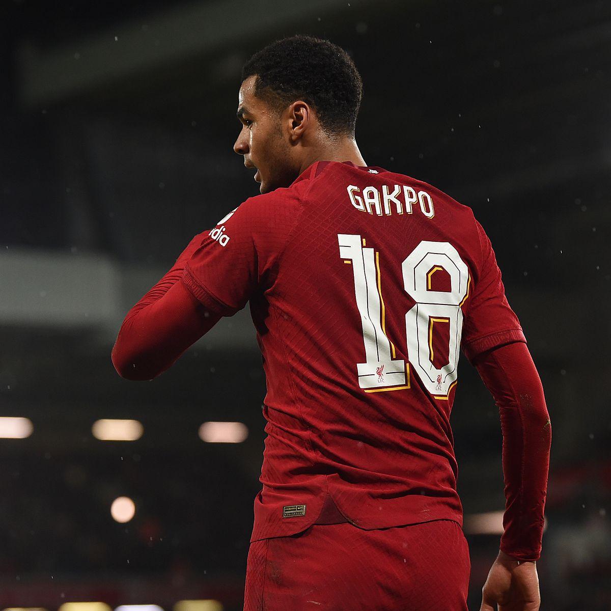 Cody Gakpo Wallpapers - Top Free Cody Gakpo Backgrounds - WallpaperAccess