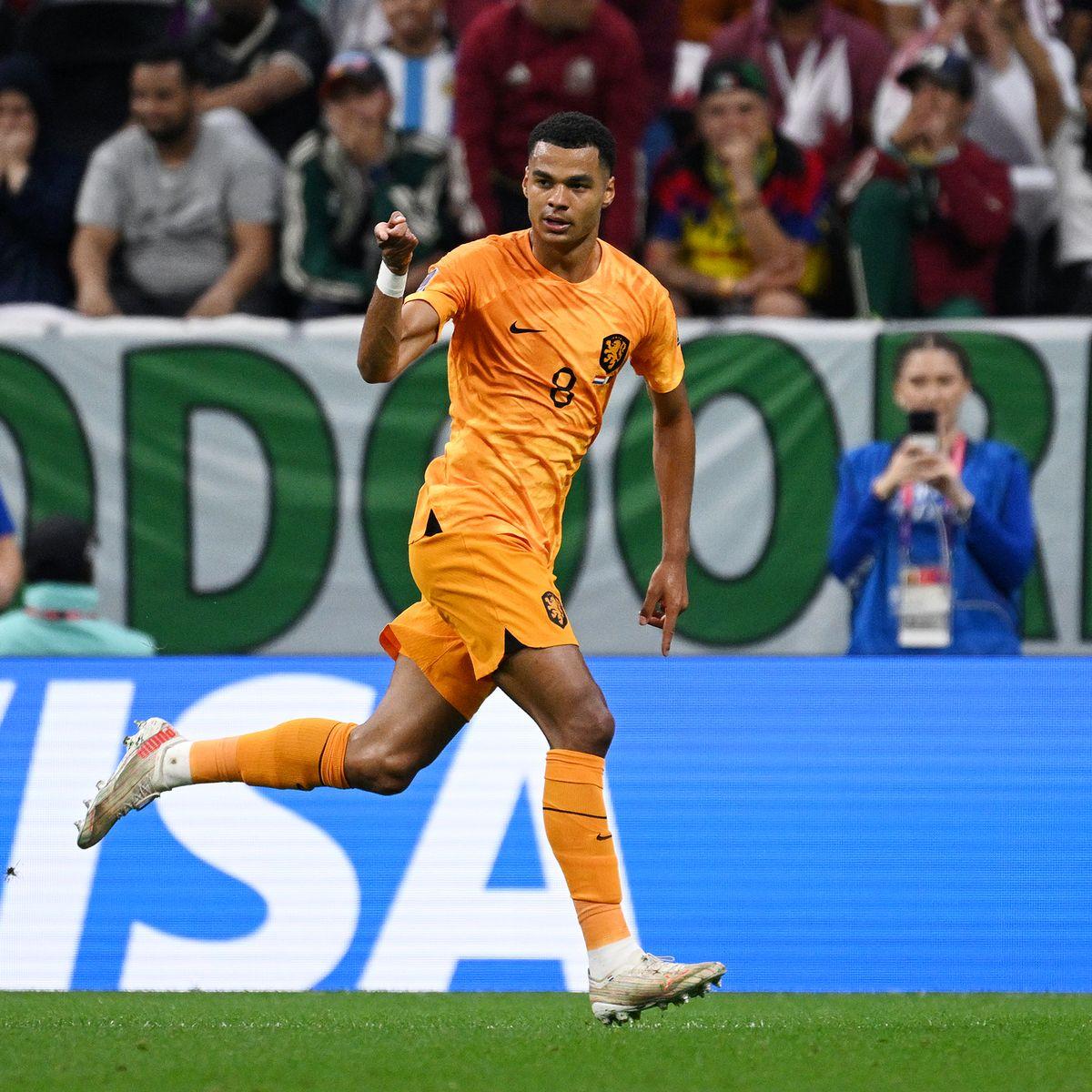 Cody Gakpo Wallpapers - Top Free Cody Gakpo Backgrounds - WallpaperAccess