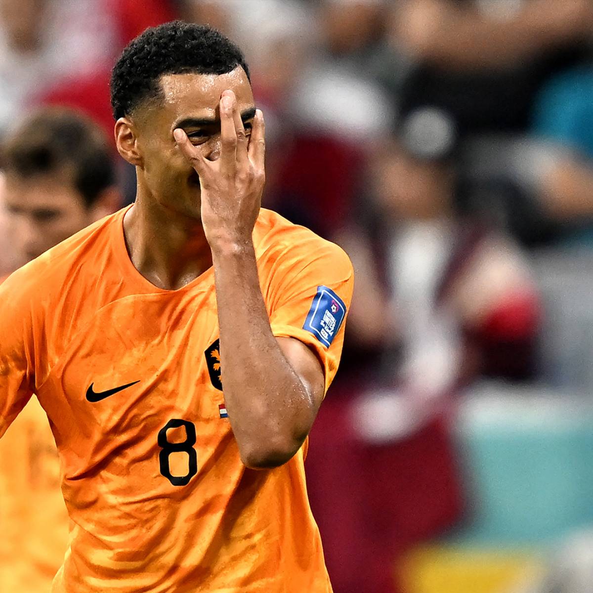 Cody Gakpo Wallpapers - Top Free Cody Gakpo Backgrounds - WallpaperAccess