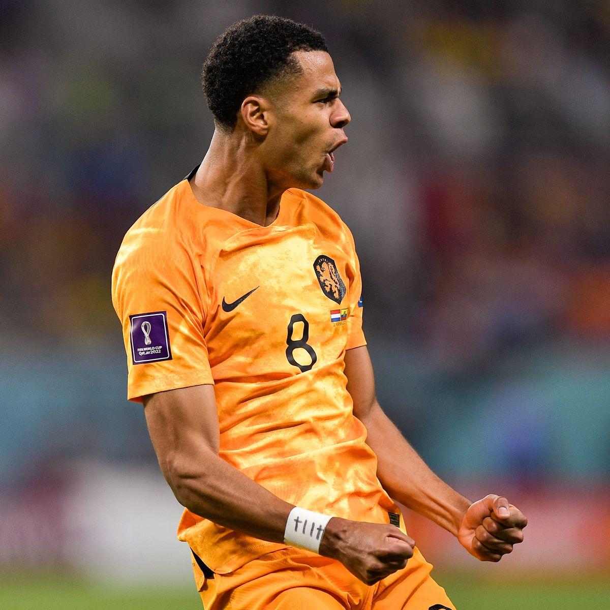 Cody Gakpo Wallpapers - Top Free Cody Gakpo Backgrounds - WallpaperAccess