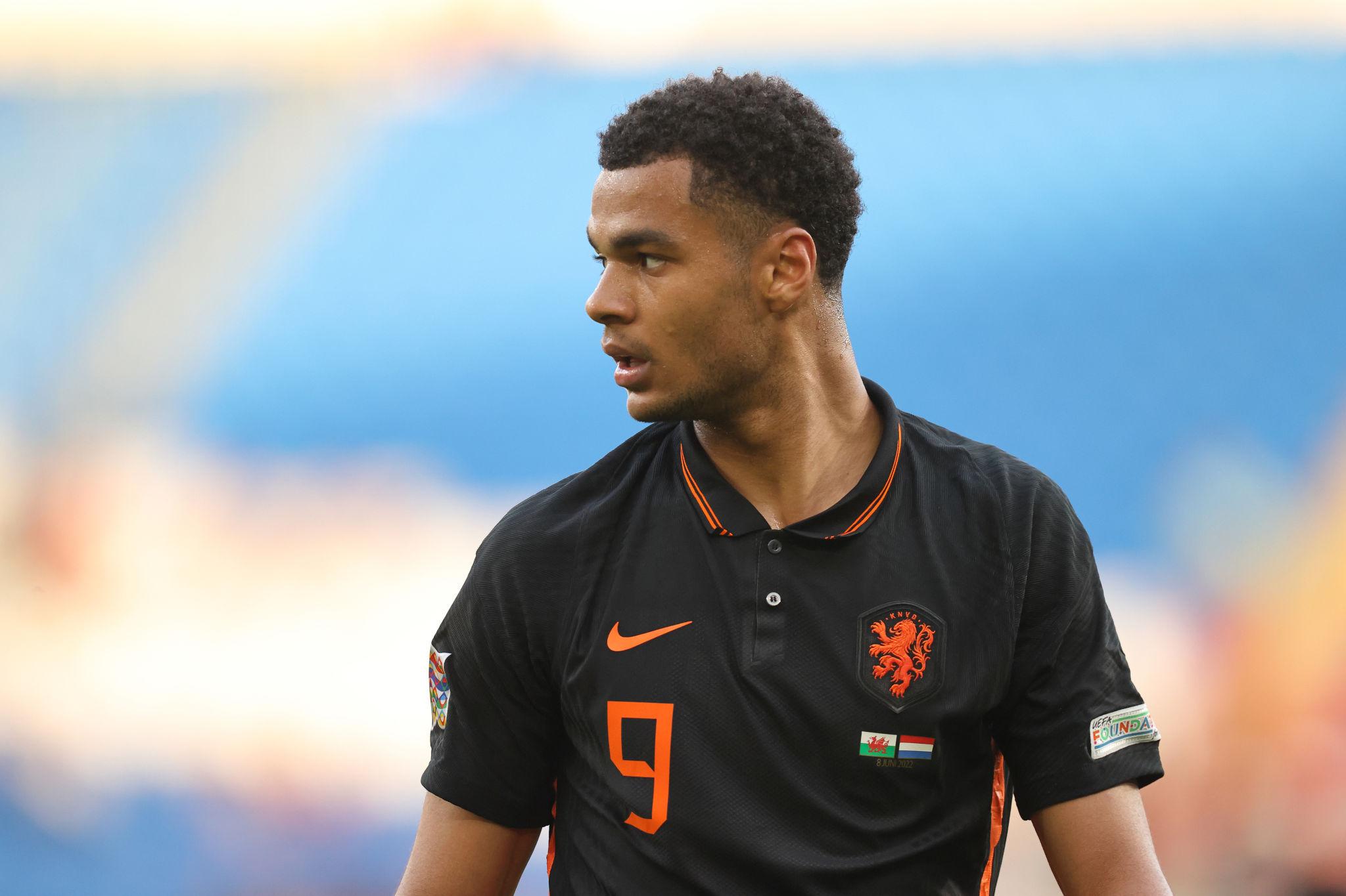 Cody Gakpo Wallpapers - Top Free Cody Gakpo Backgrounds - WallpaperAccess