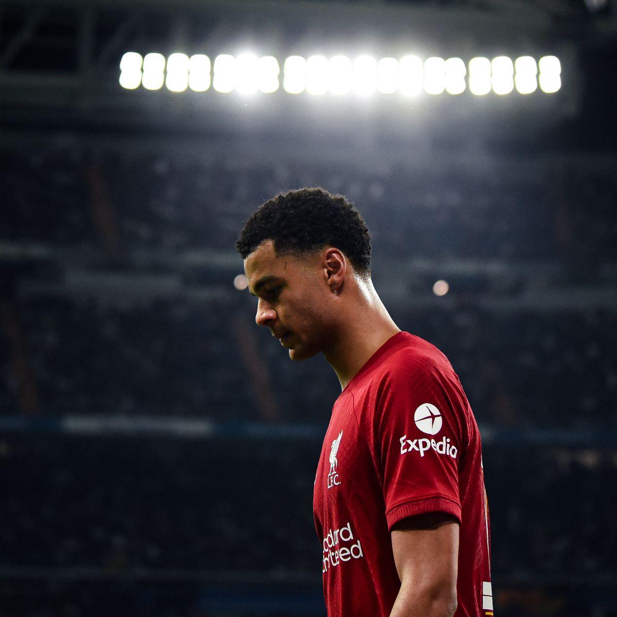 Cody Gakpo Wallpapers - Top Free Cody Gakpo Backgrounds - WallpaperAccess