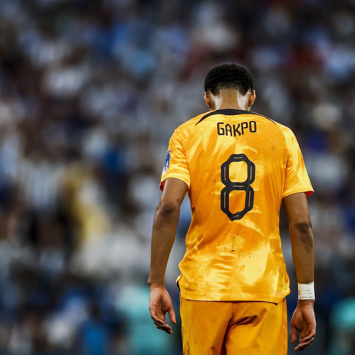 Cody Gakpo Wallpapers - Top Free Cody Gakpo Backgrounds - WallpaperAccess