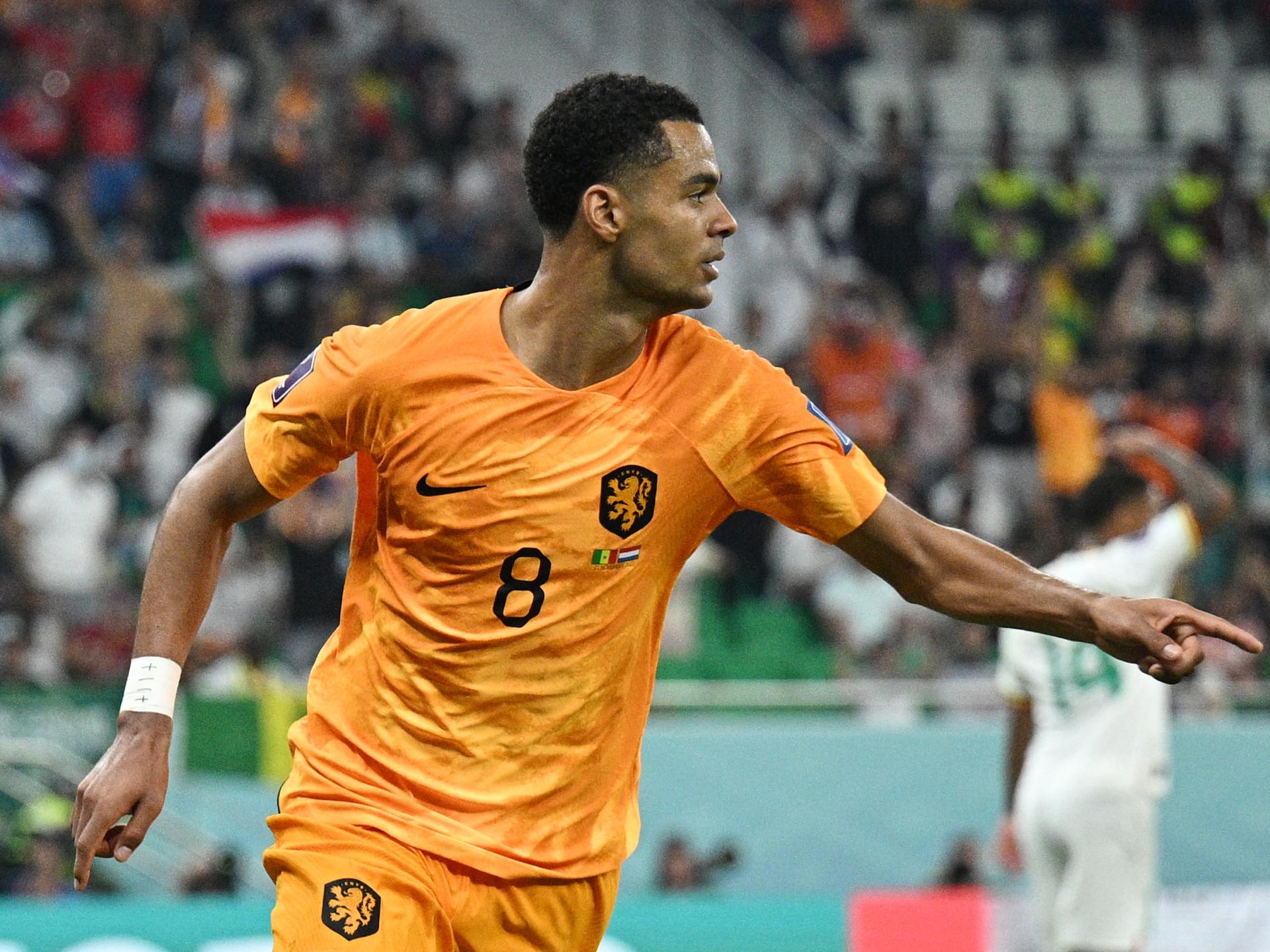 Cody Gakpo Wallpapers - Top Free Cody Gakpo Backgrounds - WallpaperAccess