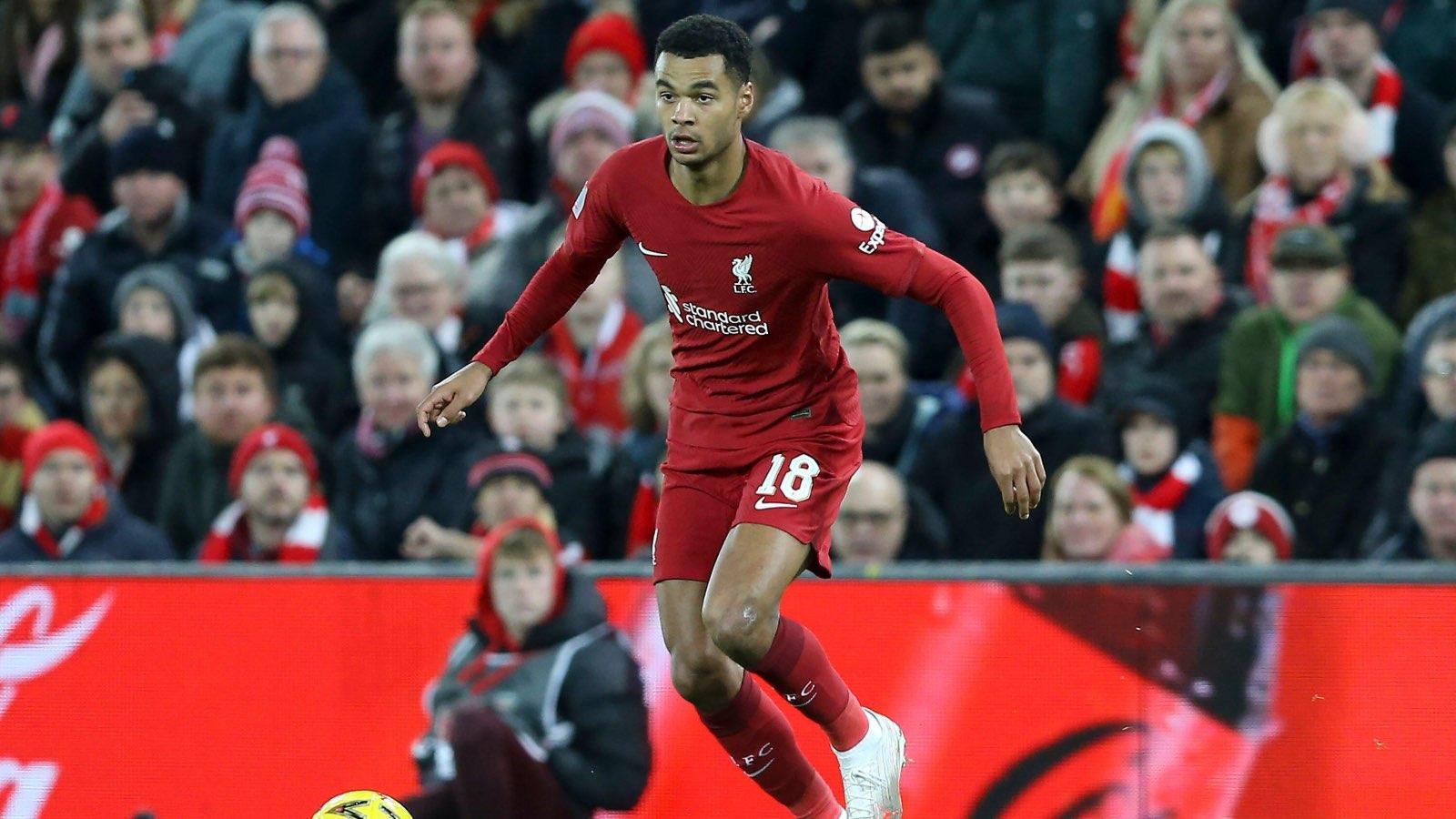 Cody Gakpo Wallpapers - Top Free Cody Gakpo Backgrounds - WallpaperAccess