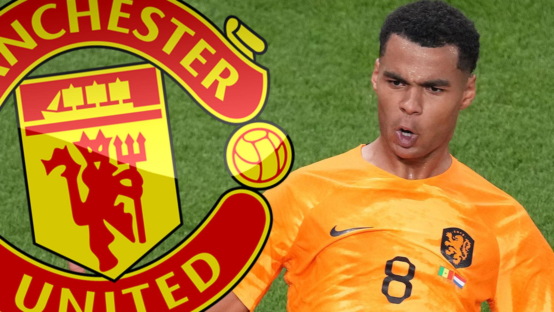 Cody Gakpo Wallpapers - Top Free Cody Gakpo Backgrounds - WallpaperAccess