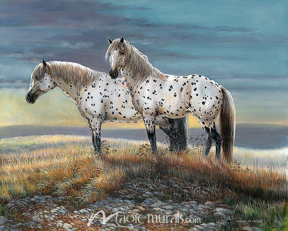 Appaloosa Wallpapers - Top Free Appaloosa Backgrounds - WallpaperAccess