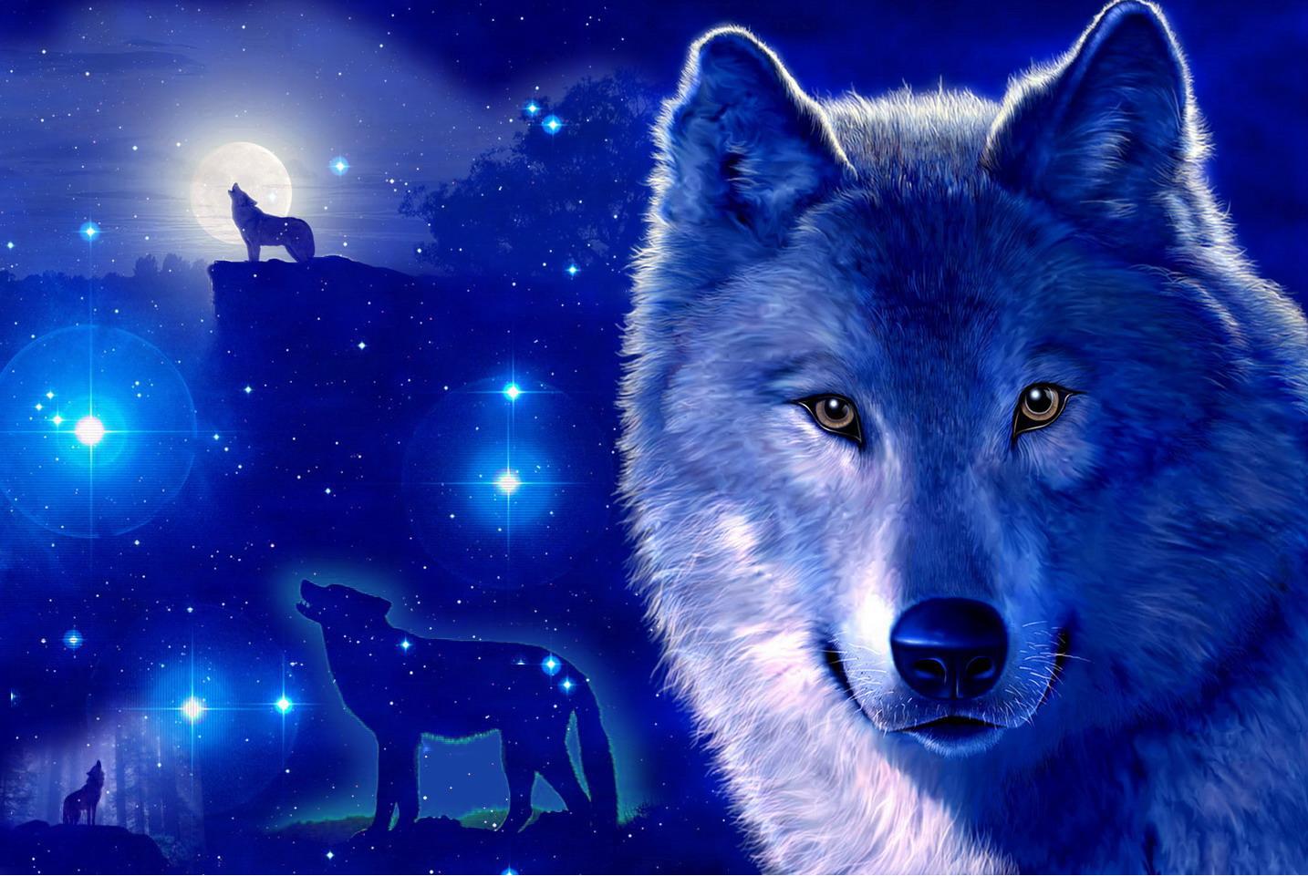 Lobo Animal Wallpapers - Top Free Lobo Animal Backgrounds - WallpaperAccess