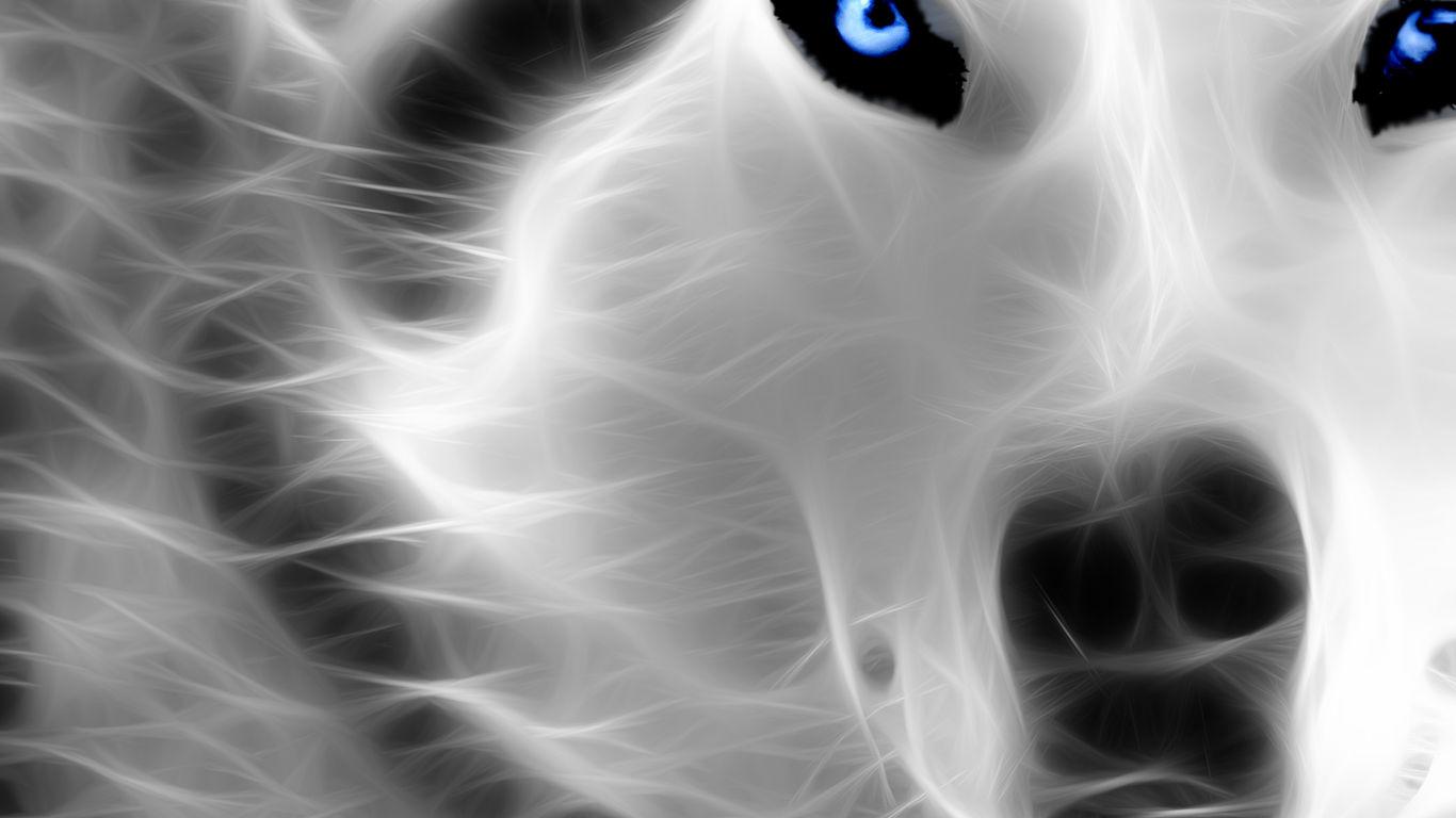 Lobo Animal Wallpapers - Top Free Lobo Animal Backgrounds - WallpaperAccess