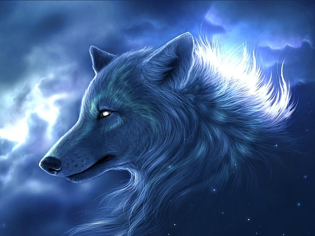 Lobo Animal Wallpapers - Top Free Lobo Animal Backgrounds - WallpaperAccess