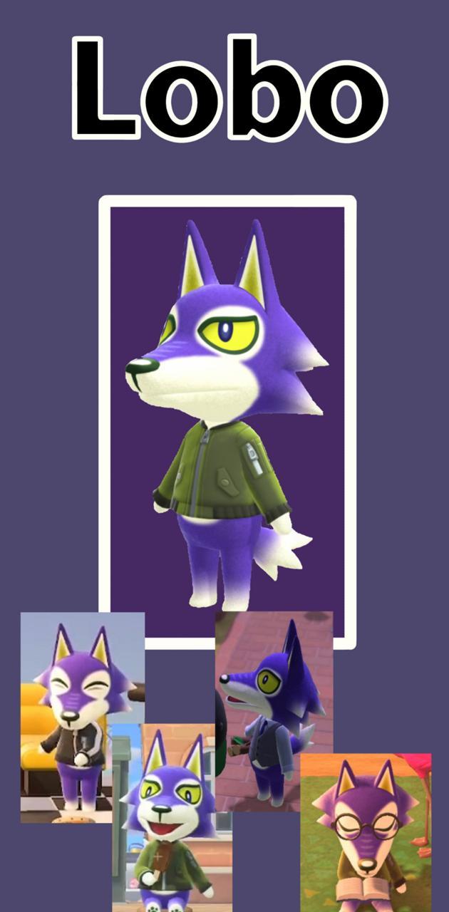 Lobo Animal Wallpapers - Top Free Lobo Animal Backgrounds - WallpaperAccess