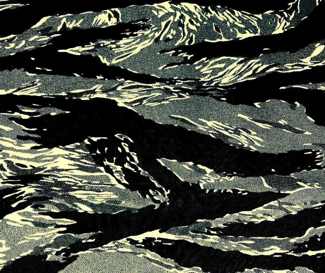 Tiger Camo Wallpapers - Top Free Tiger Camo Backgrounds - WallpaperAccess