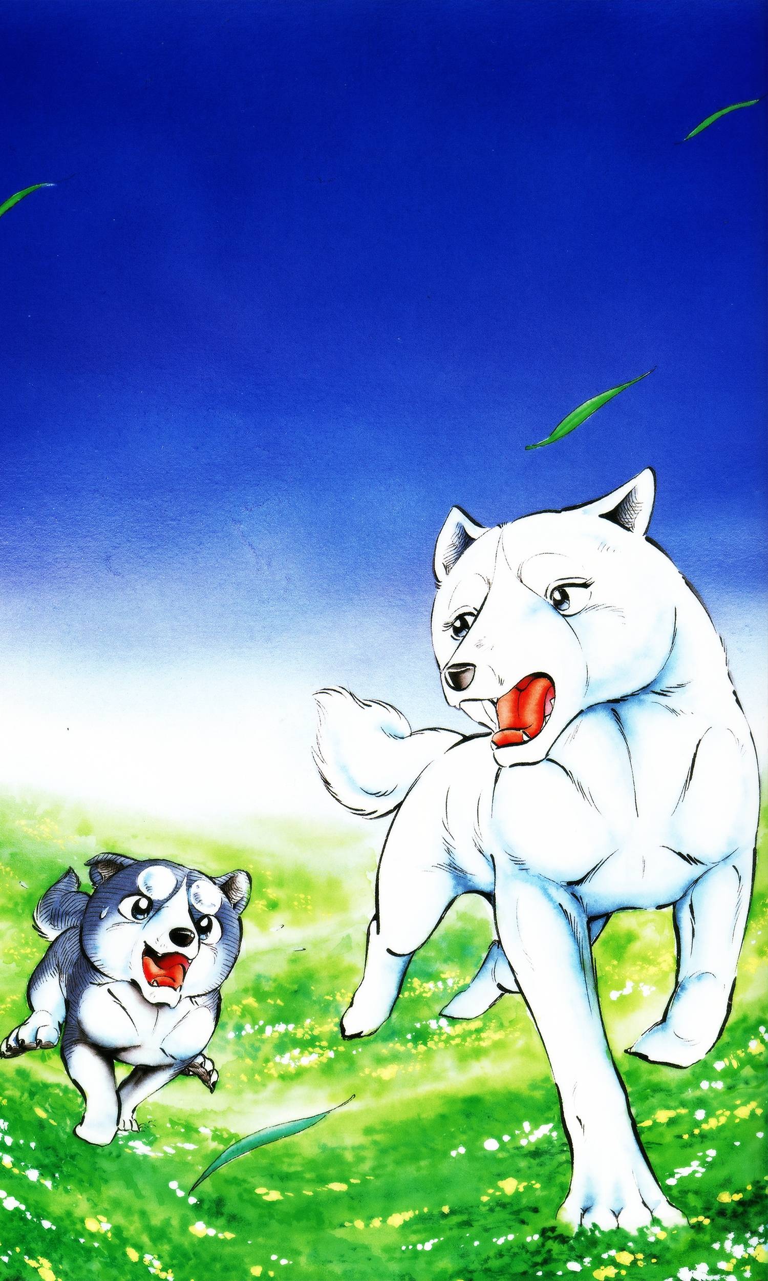 Ginga Wallpapers - Top Free Ginga Backgrounds - WallpaperAccess