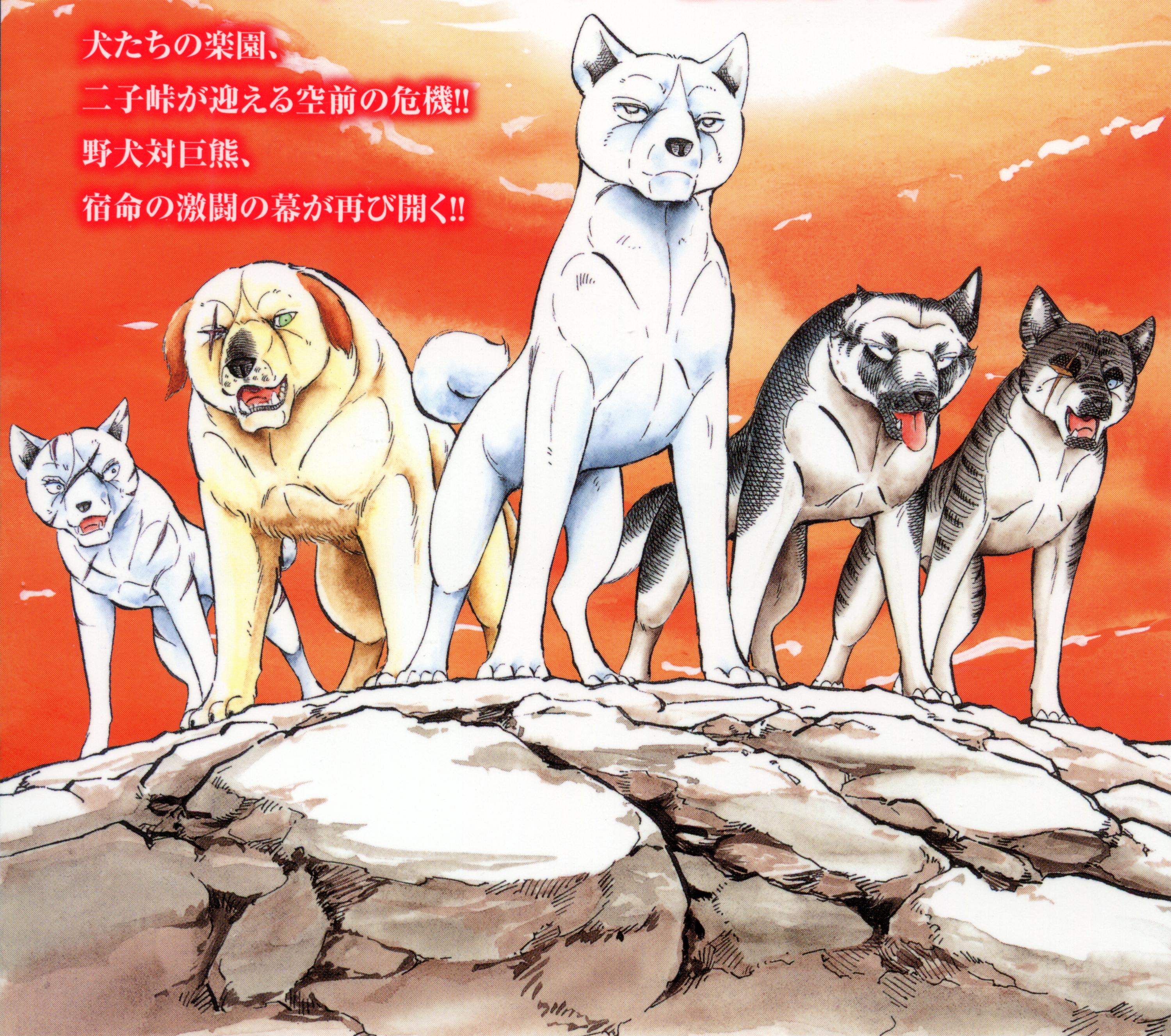 Ginga Wallpapers - Top Free Ginga Backgrounds - WallpaperAccess