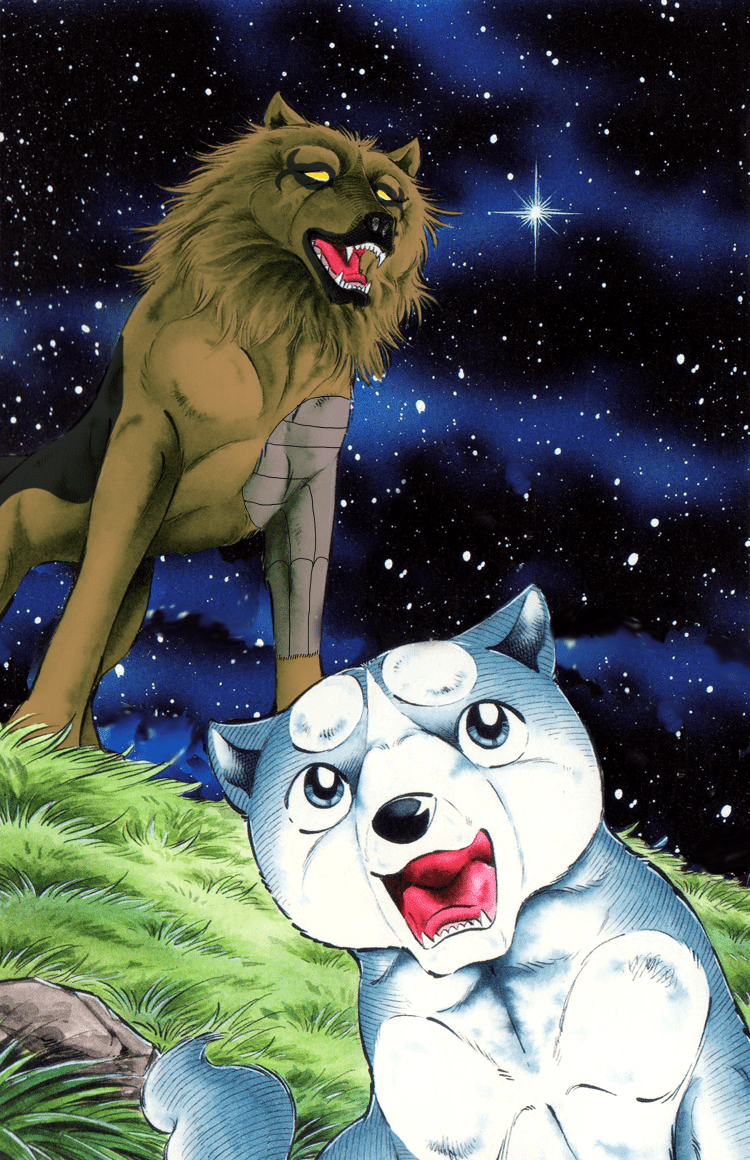 Ginga Wallpapers - Top Free Ginga Backgrounds - WallpaperAccess