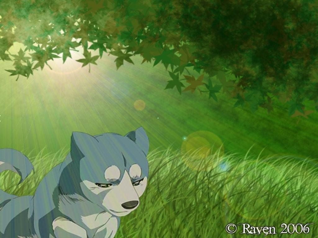 Ginga Wallpapers - Top Free Ginga Backgrounds - WallpaperAccess