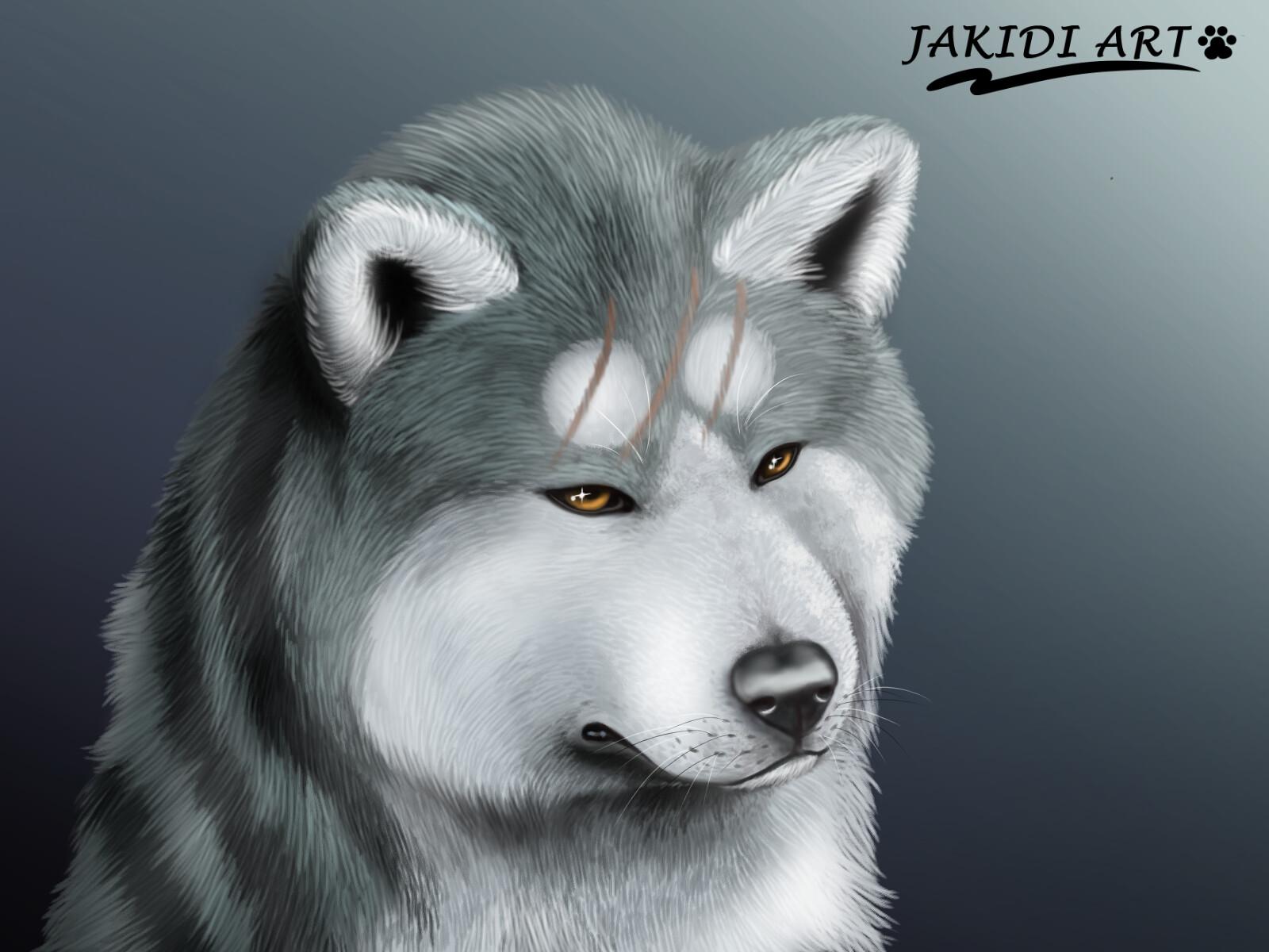 Ginga Wallpapers - Top Free Ginga Backgrounds - WallpaperAccess