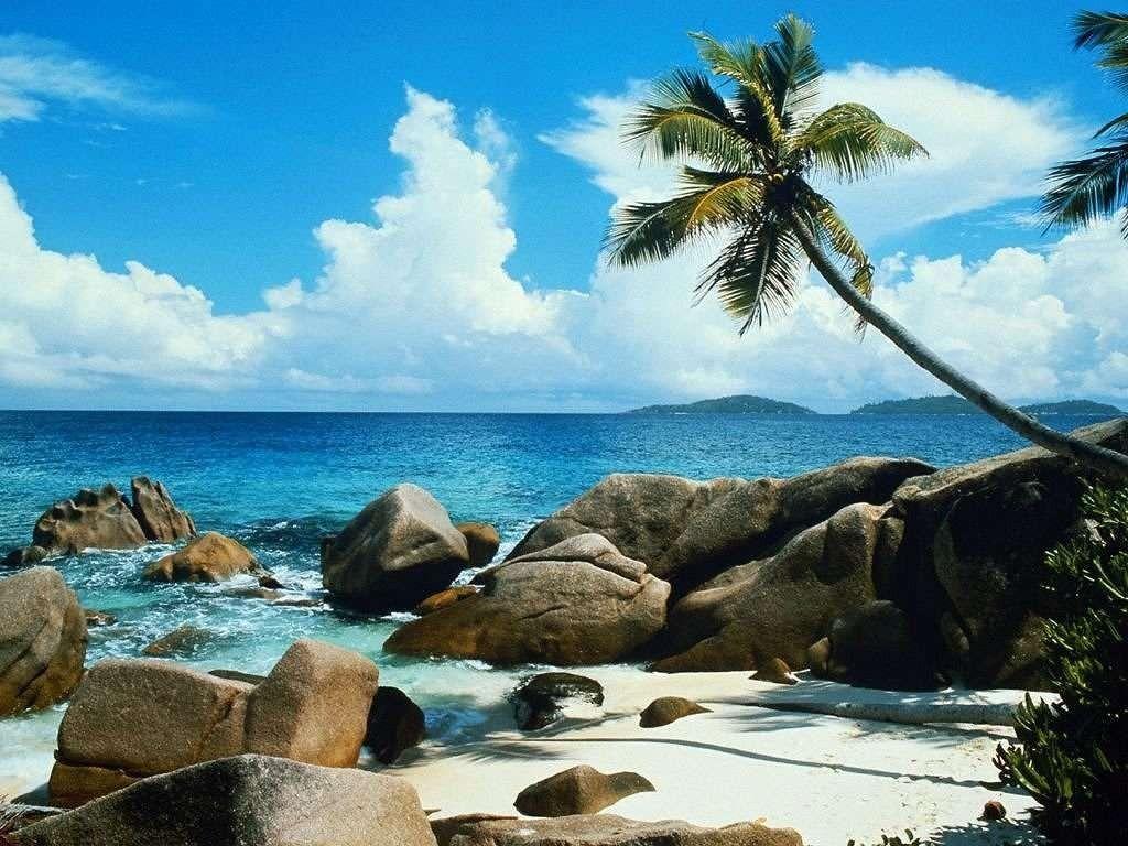 Brazil Beaches Wallpapers - Top Free Brazil Beaches Backgrounds - WallpaperAccess