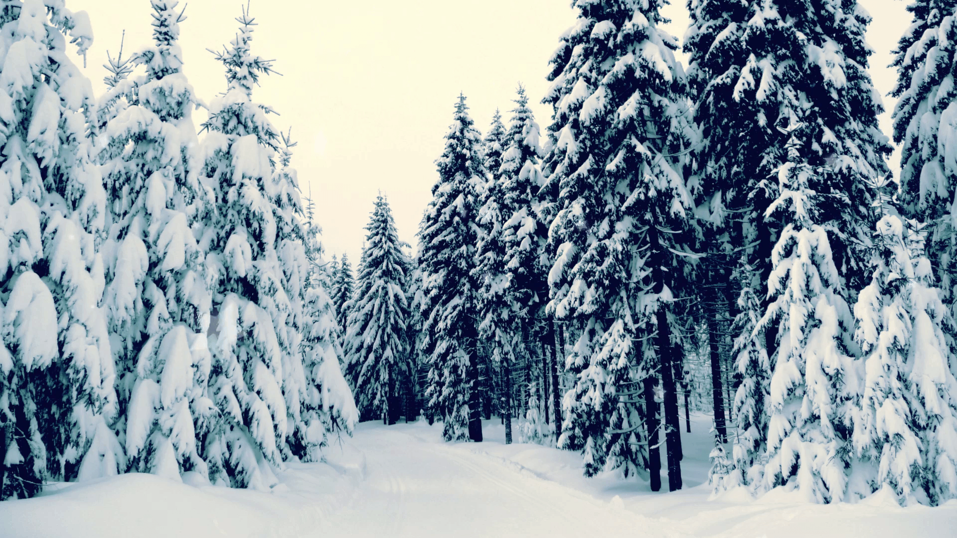 Vintage Winter Wonderland Wallpapers - Top Free Vintage Winter ...