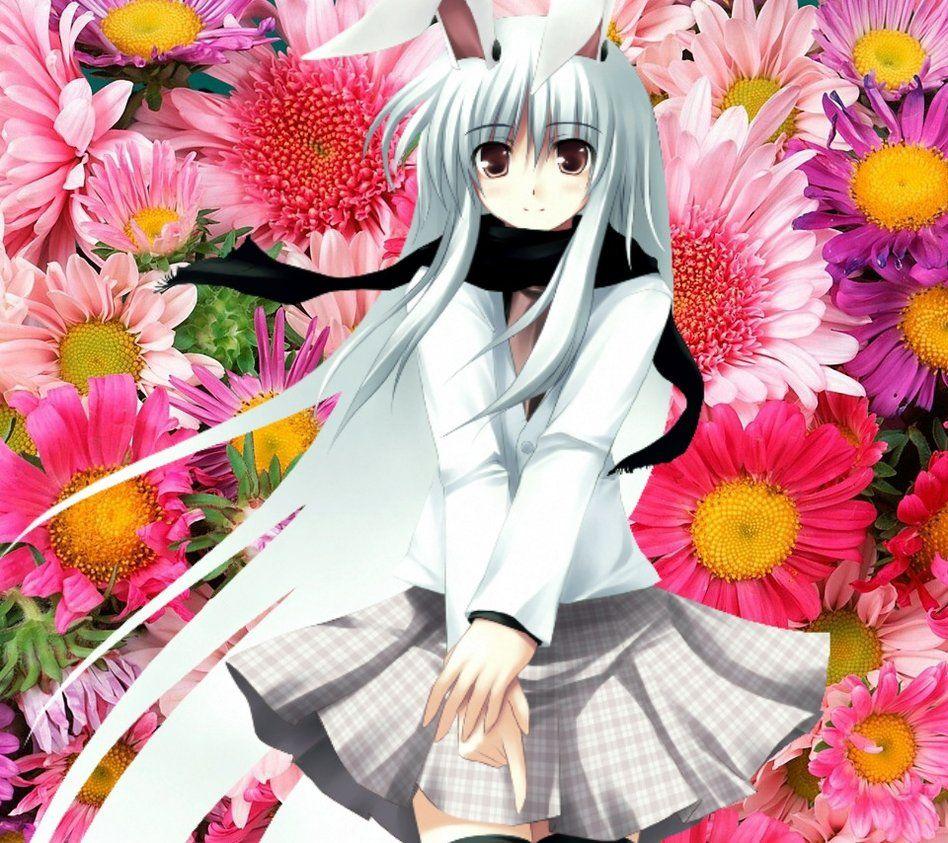 Bunny Girl Anime Wallpapers - Top Free Bunny Girl Anime Backgrounds ...