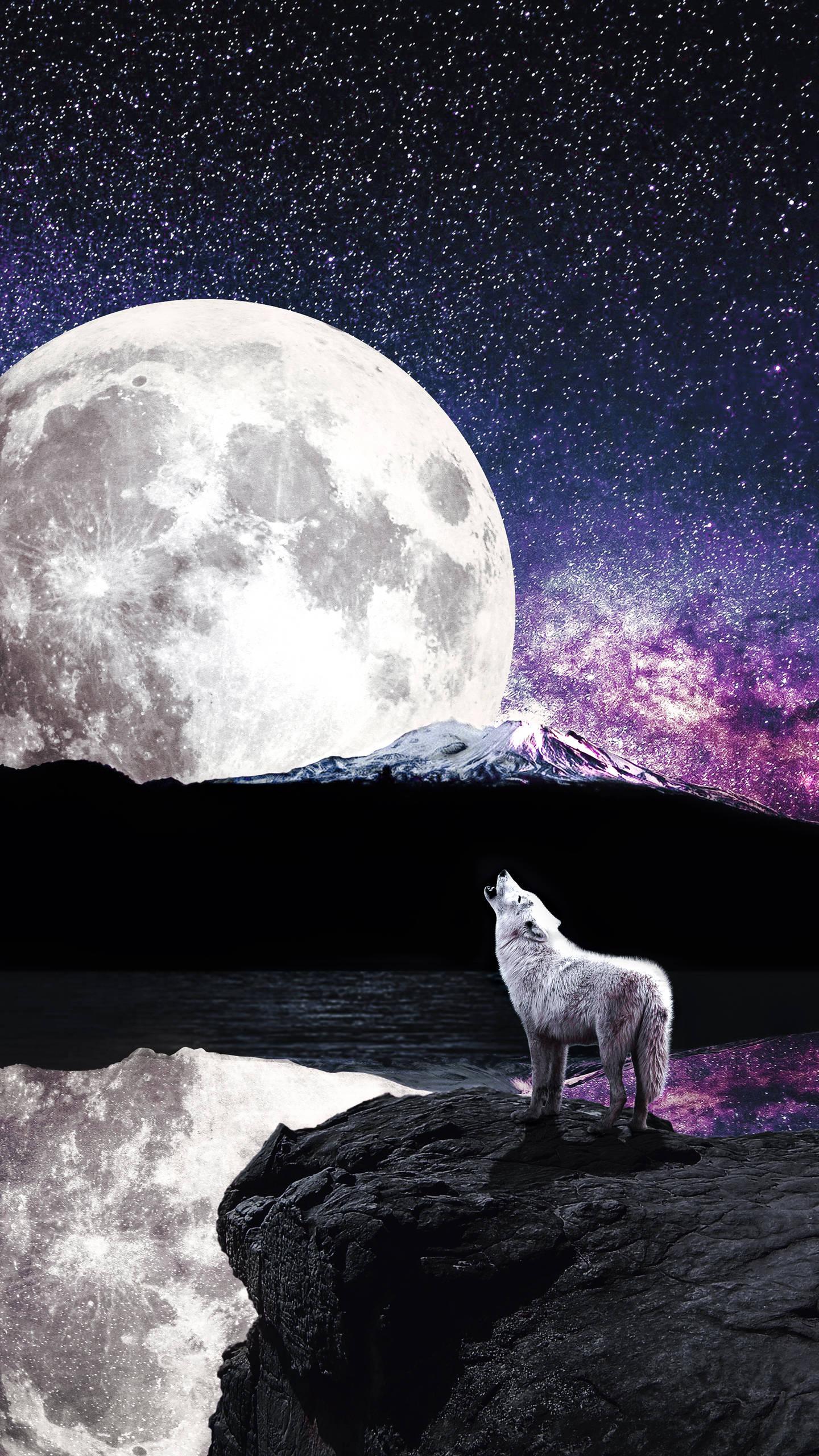 Lonewolf Wallpapers - Top Free Lonewolf Backgrounds - WallpaperAccess