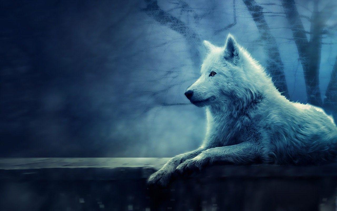Lonewolf Wallpapers - Top Free Lonewolf Backgrounds - WallpaperAccess