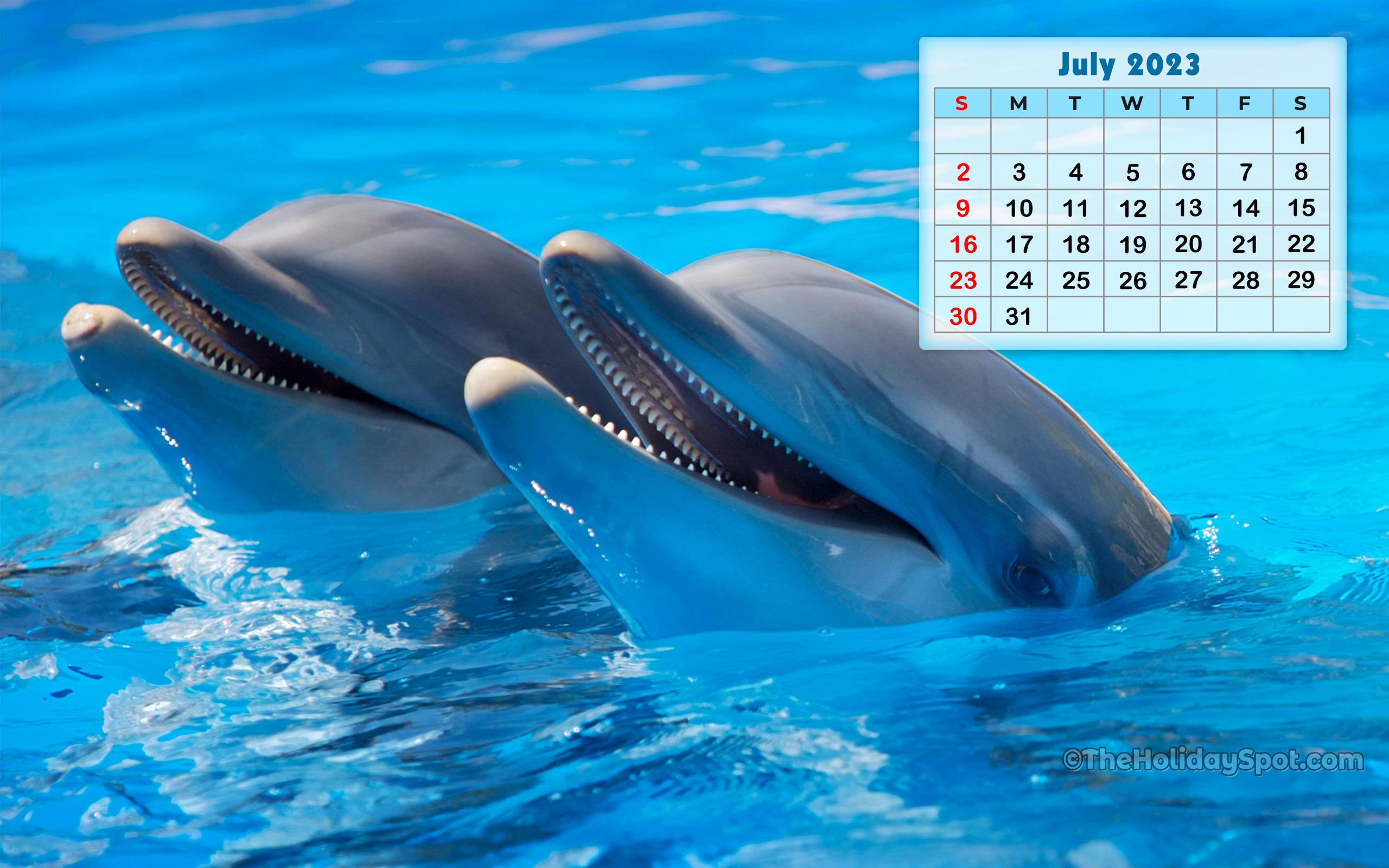 July 2023 Calendar Wallpapers - Top Free July 2023 Calendar Backgrounds ...