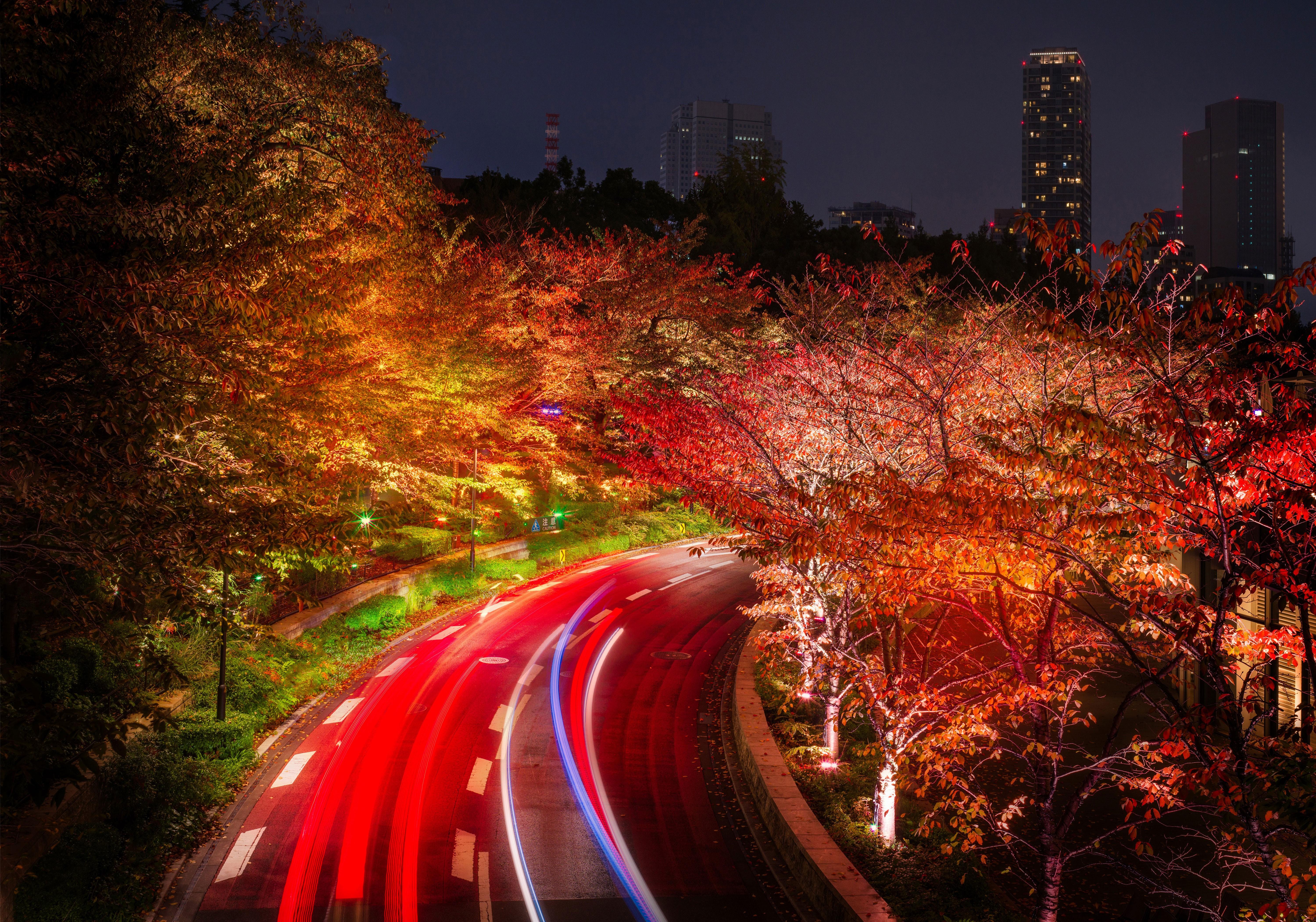 Tokyo Nature Wallpapers - Top Free Tokyo Nature Backgrounds ...