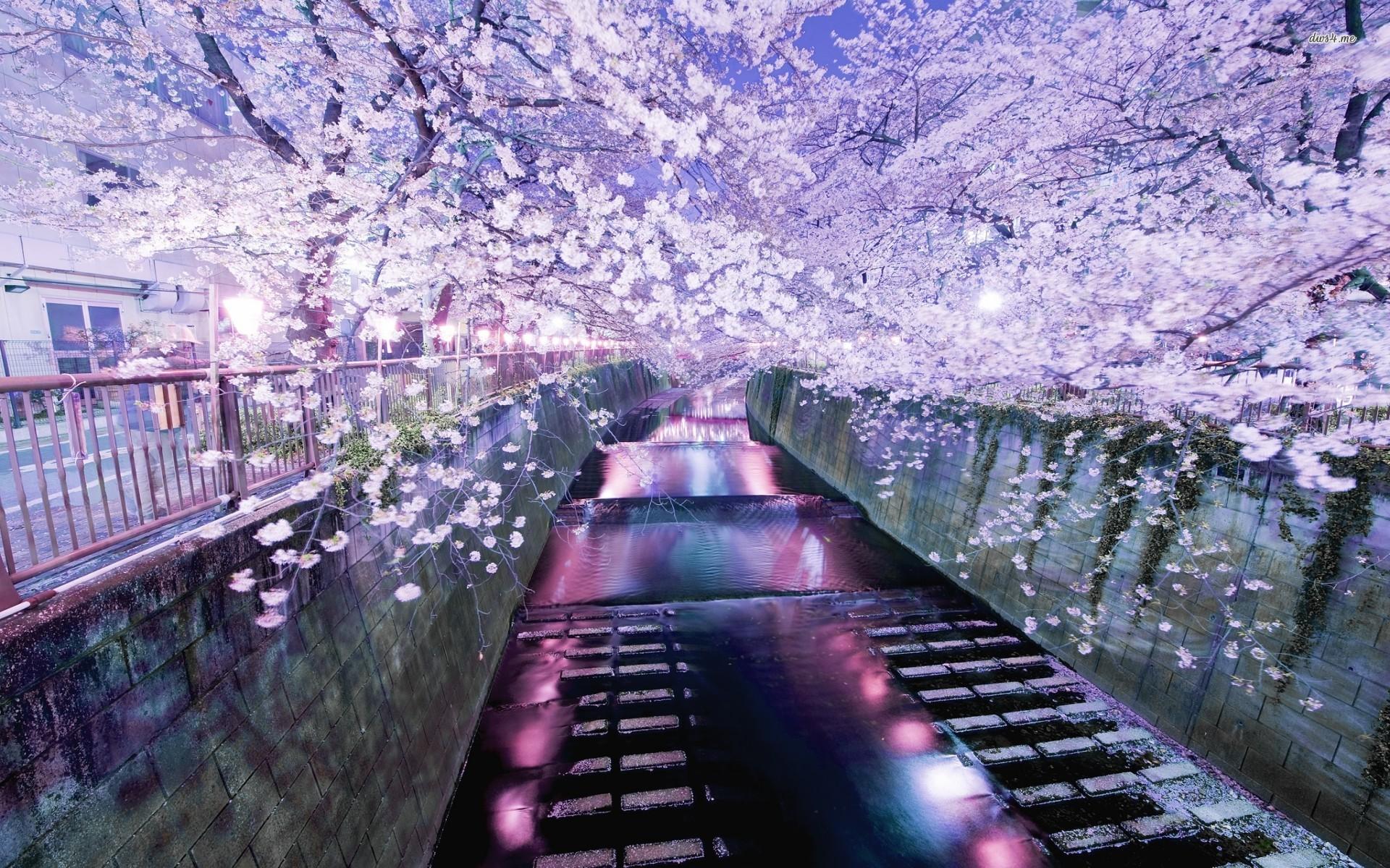 Tokyo Nature Wallpapers - Top Free Tokyo Nature Backgrounds ...