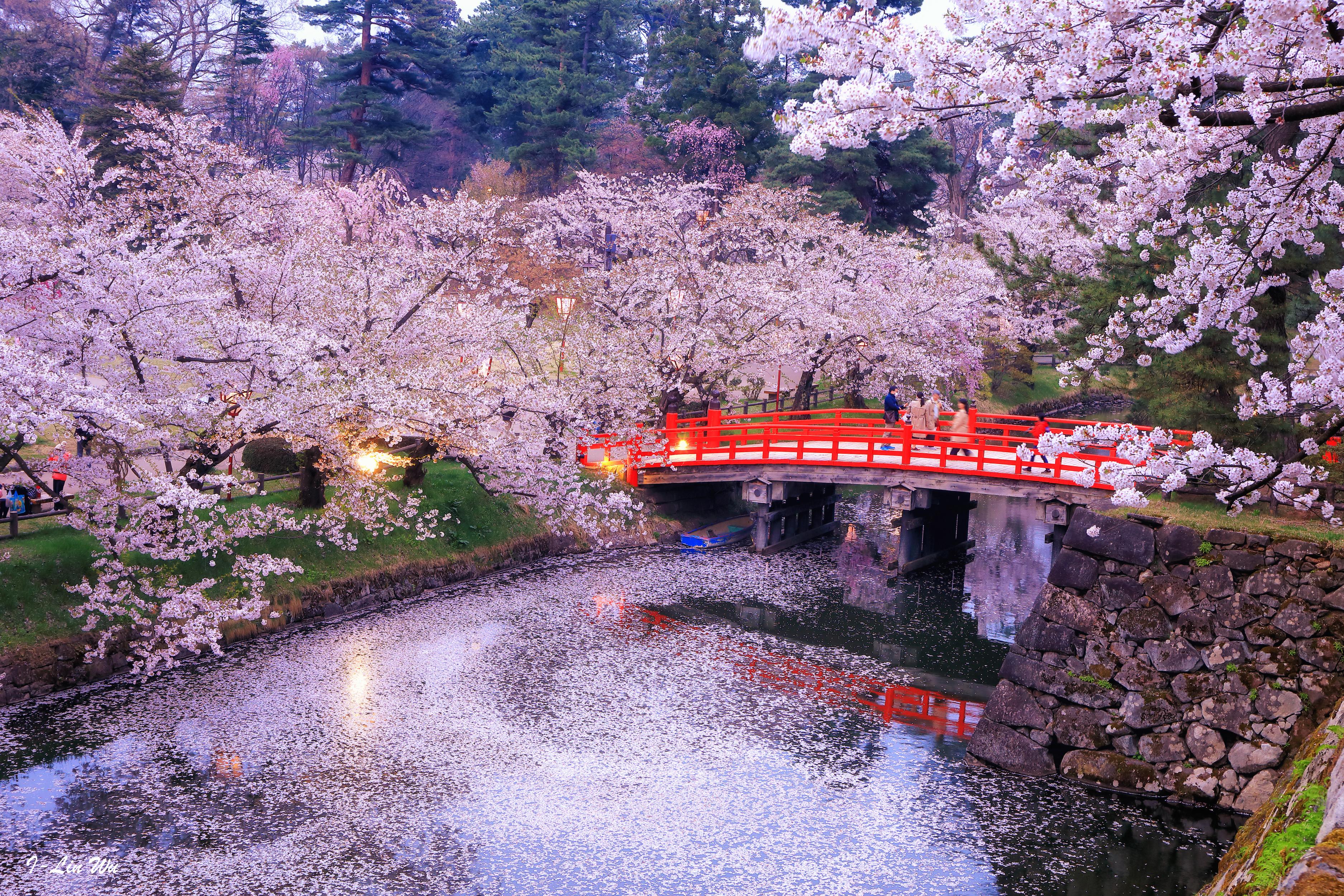Tokyo Nature Wallpapers - Top Free Tokyo Nature Backgrounds ...
