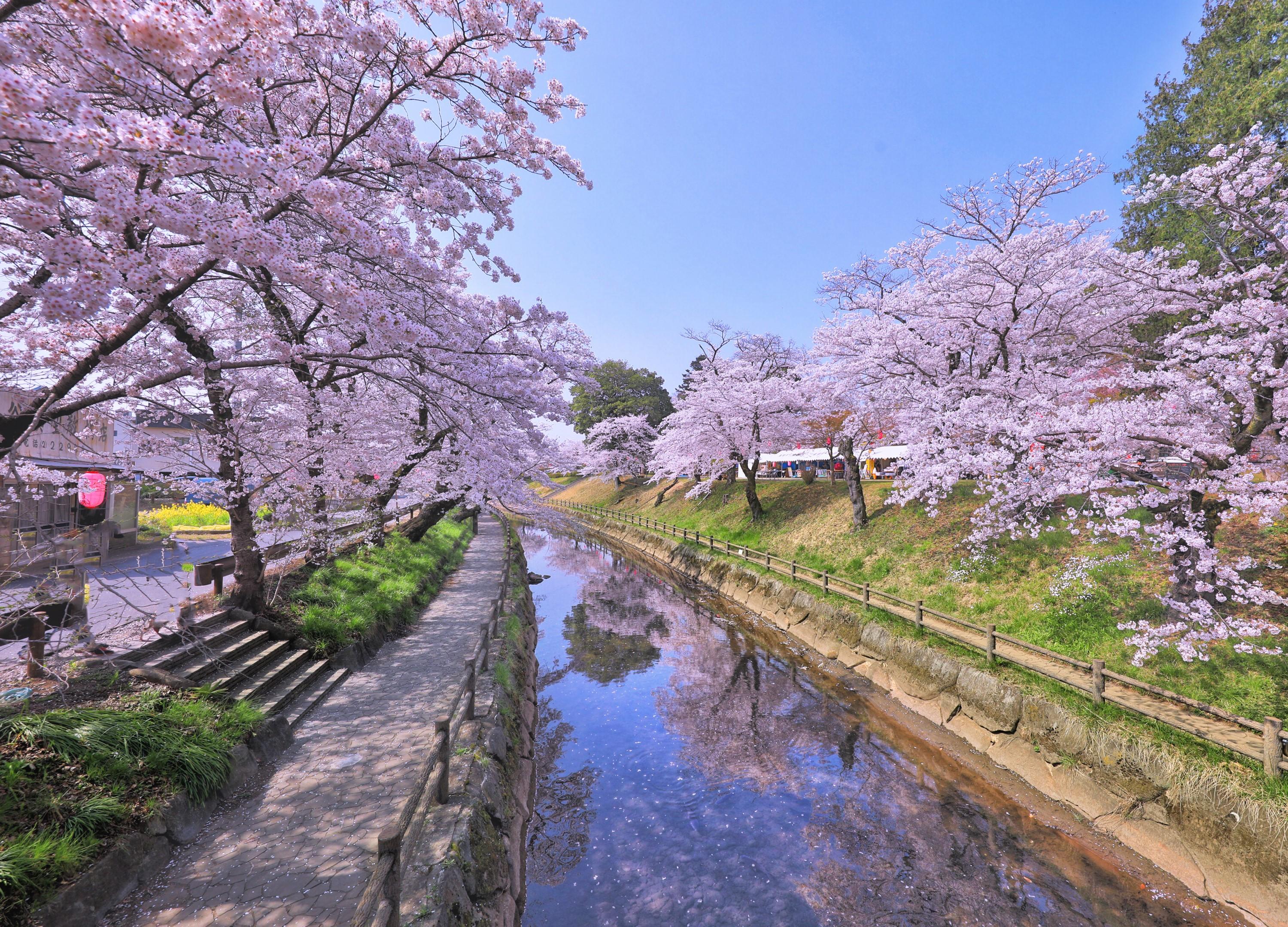 Tokyo Nature Wallpapers - Top Free Tokyo Nature Backgrounds ...