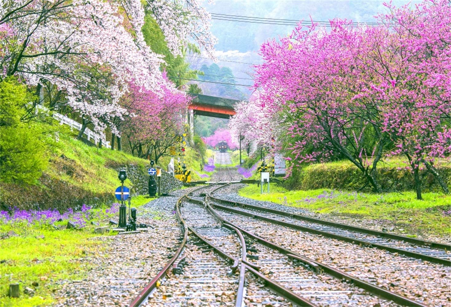 Tokyo Nature Wallpapers - Top Free Tokyo Nature Backgrounds ...