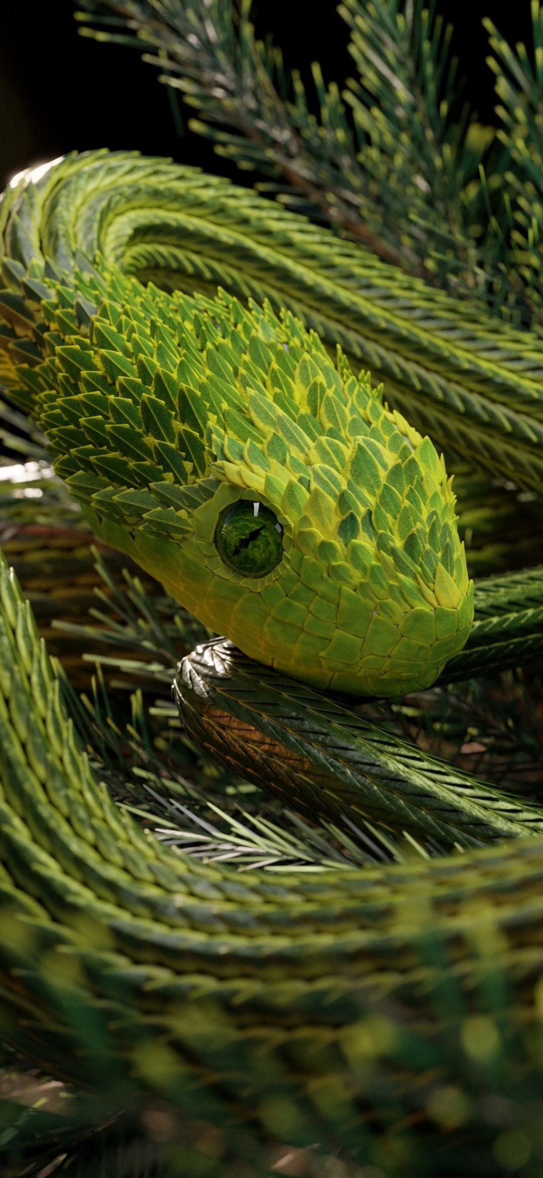 Bush Viper Wallpapers - Top Free Bush Viper Backgrounds - WallpaperAccess