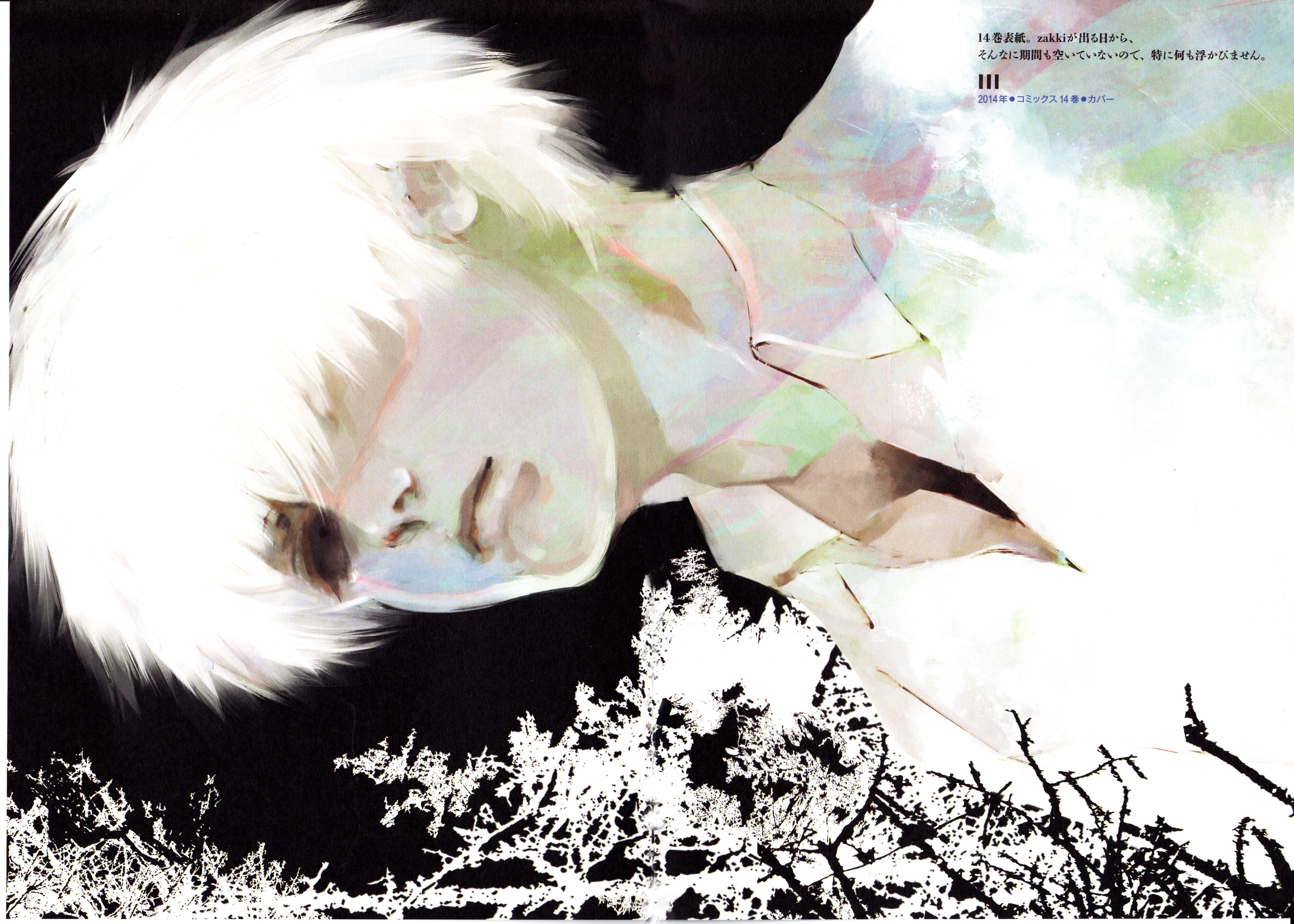 Volume Covers Tokyo Ghoul Wallpapers - Top Free Volume Covers Tokyo ...