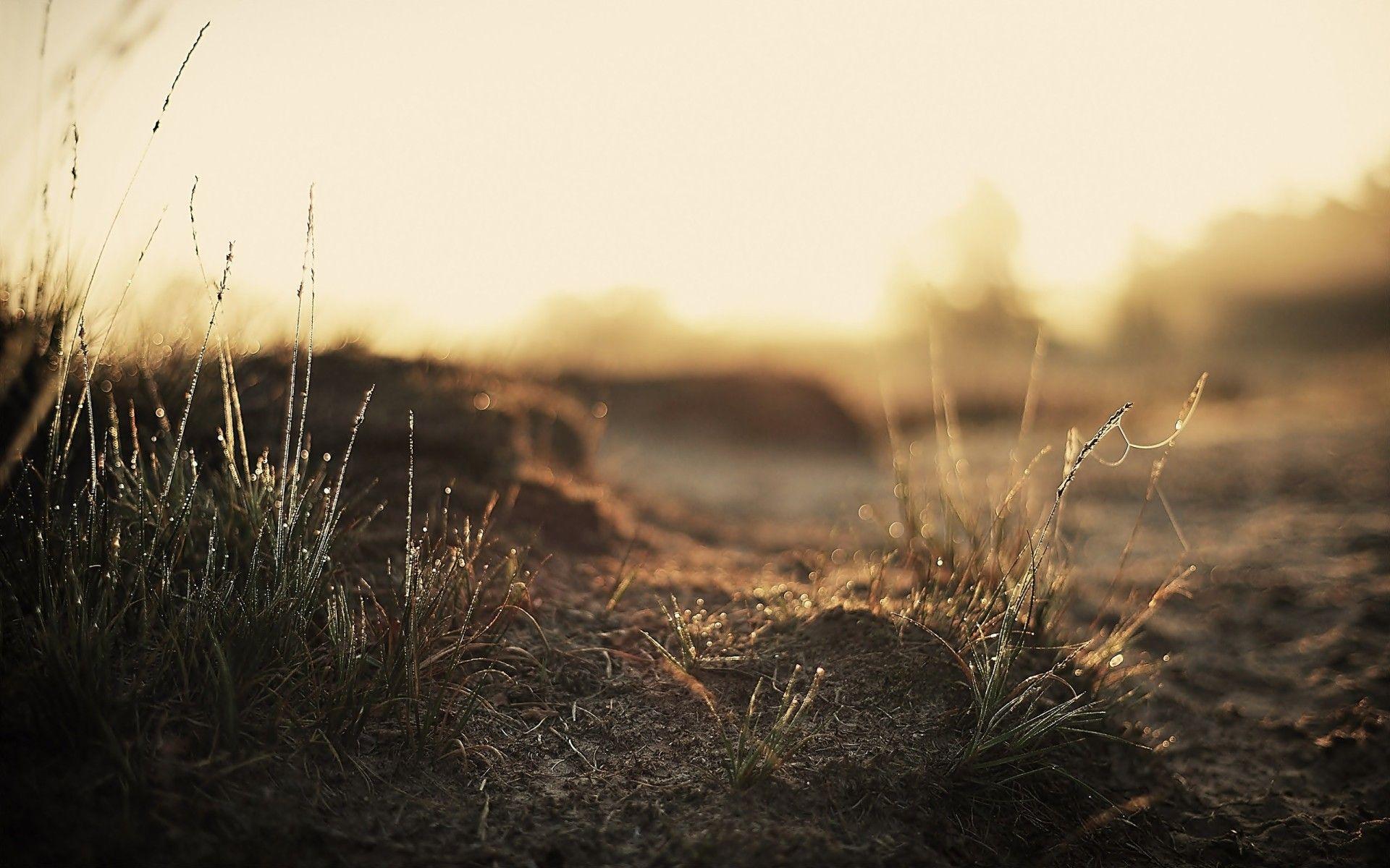 On The Ground Wallpapers - Top Free On The Ground Backgrounds ...