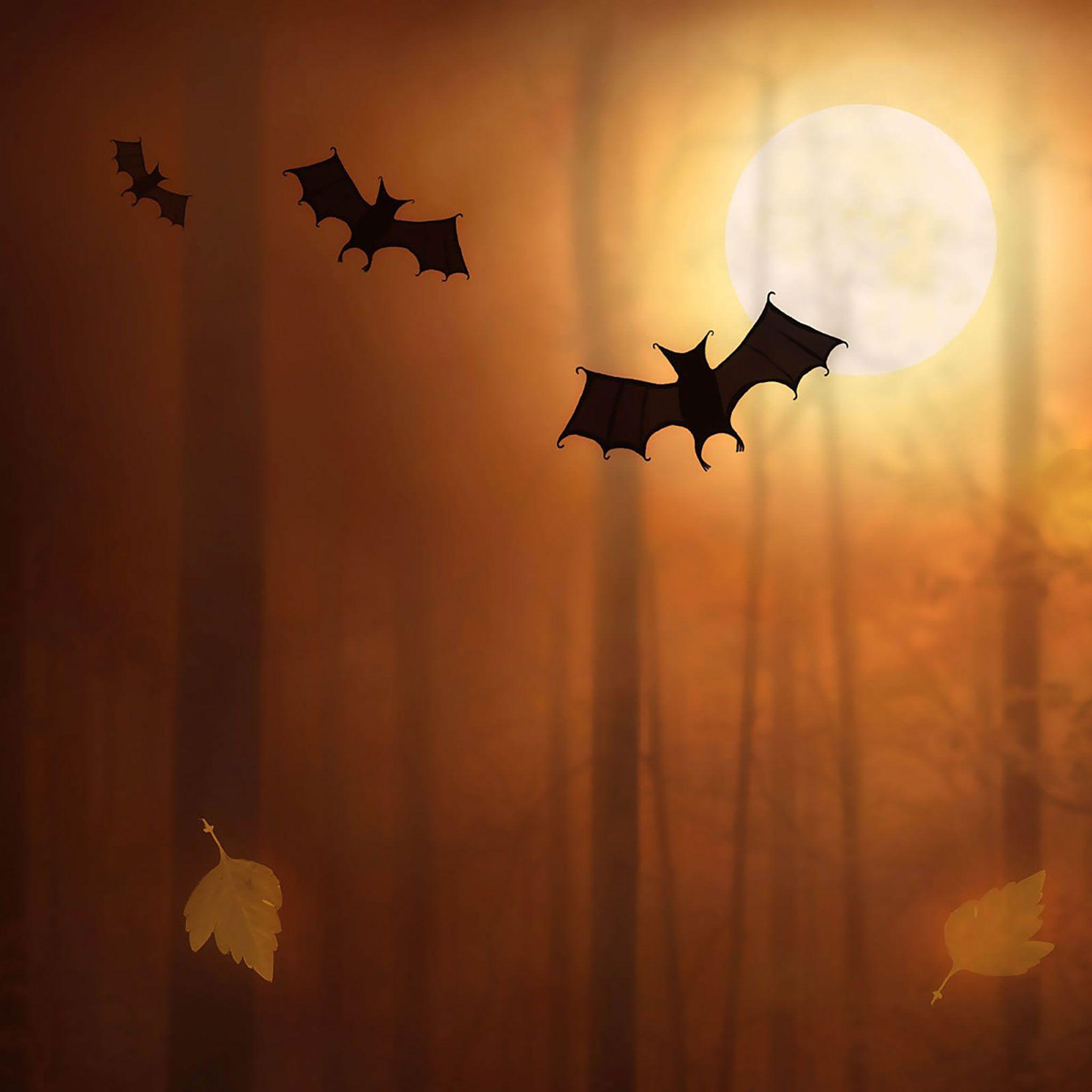 Halloween iPad Wallpapers - Top Free Halloween iPad Backgrounds ...